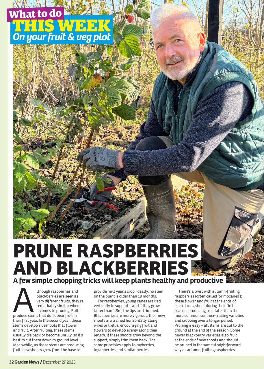 Garden News Magazine - 27-Dec-2025 Retour à l'édition précédente