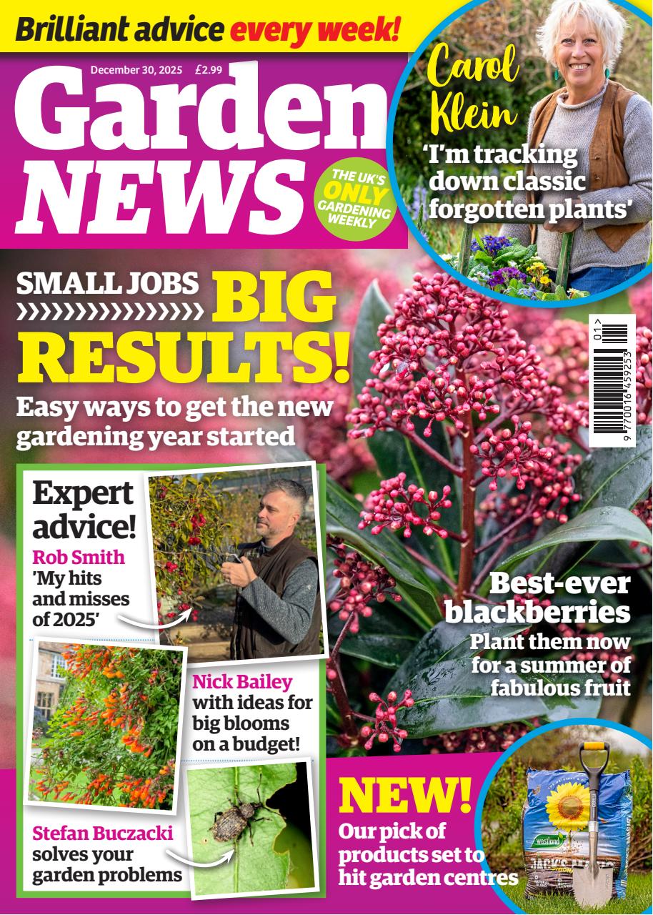 Garden News Magazine - 30-Dec-2025 Back Issue
