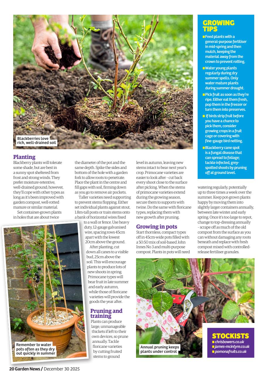 Garden News Magazine - 30-Dec-2025 Back Issue