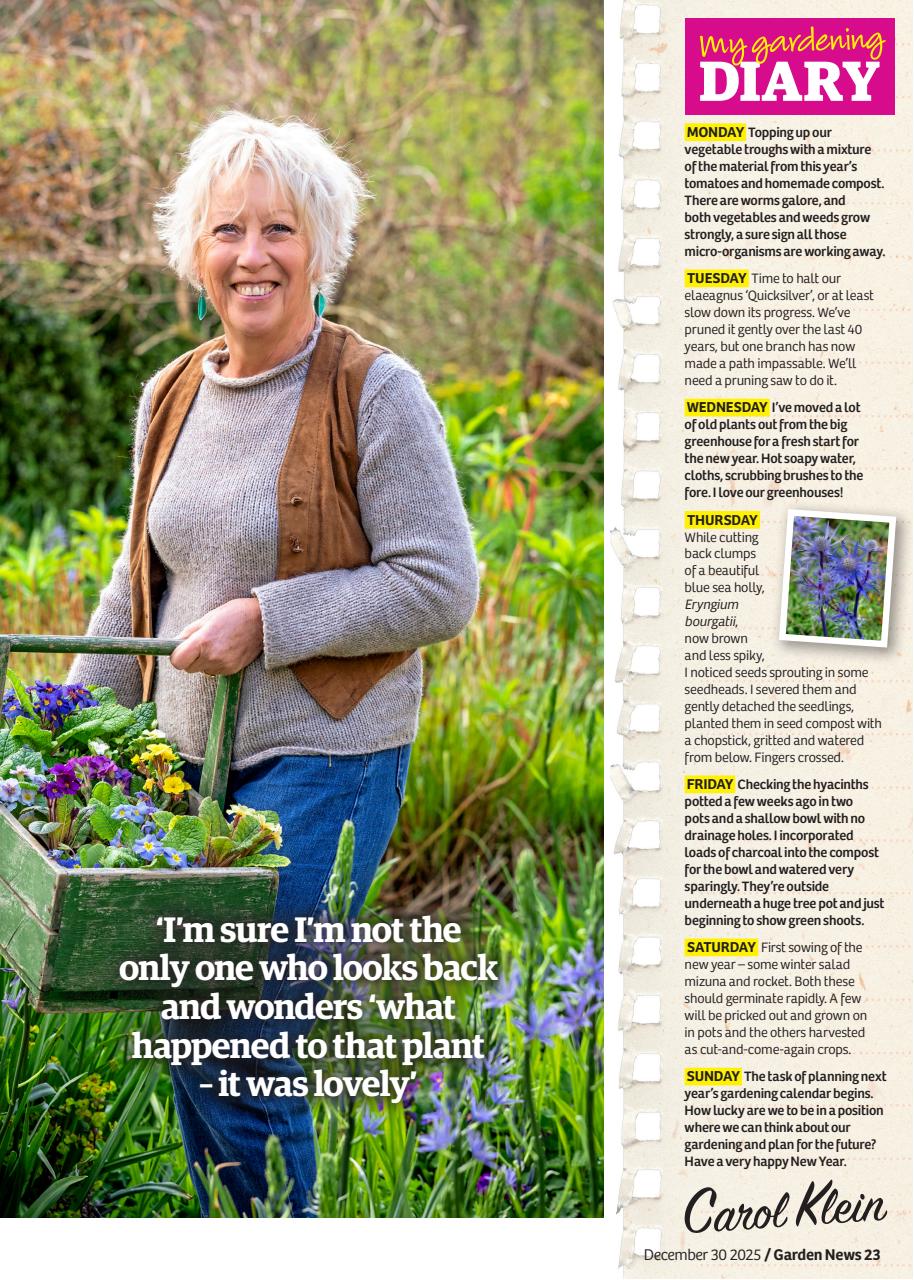 Garden News Magazine - 30-Dec-2025 Back Issue