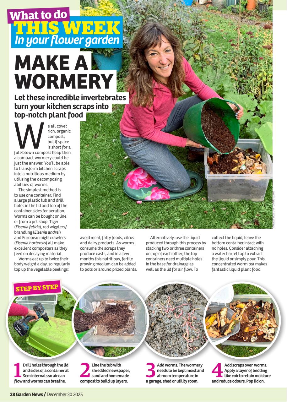 Garden News Magazine - 30-Dec-2025 Back Issue