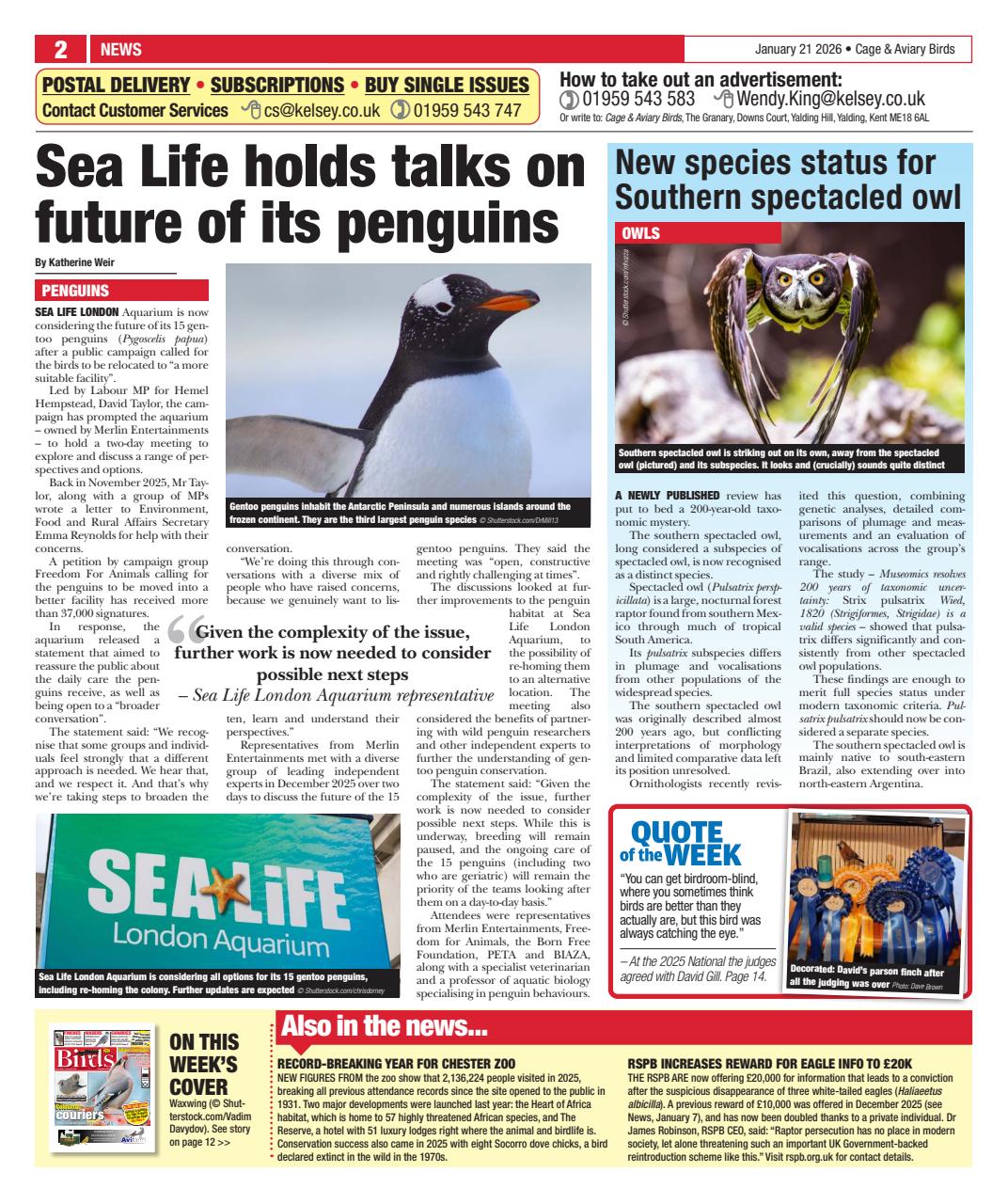 Cage & Aviary Birds Magazine - 21st January 2026 Edição anterior