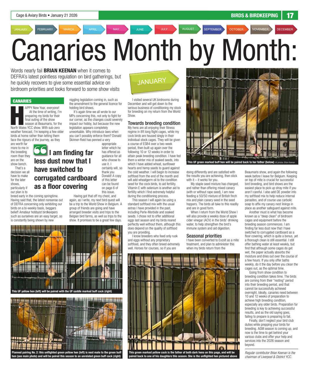 Cage & Aviary Birds Magazine - 21st January 2026 Edição anterior