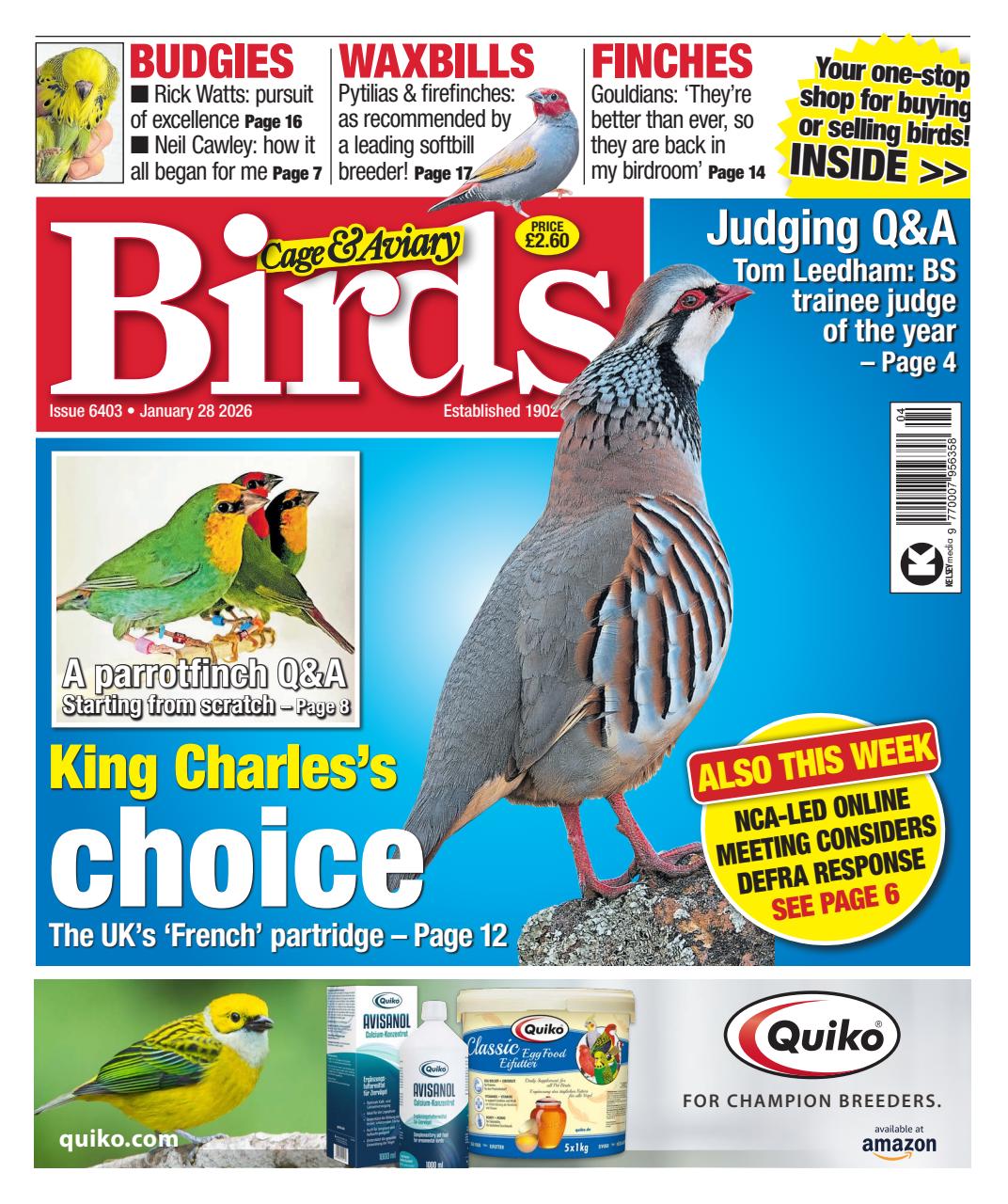 Cage & Aviary Birds Magazine - 28th January 2026 Edição anterior