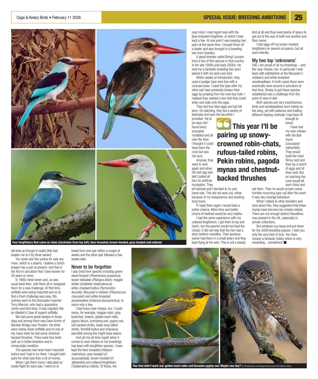 Cage & Aviary Birds Magazine - 11th February 2026 Vorige editie