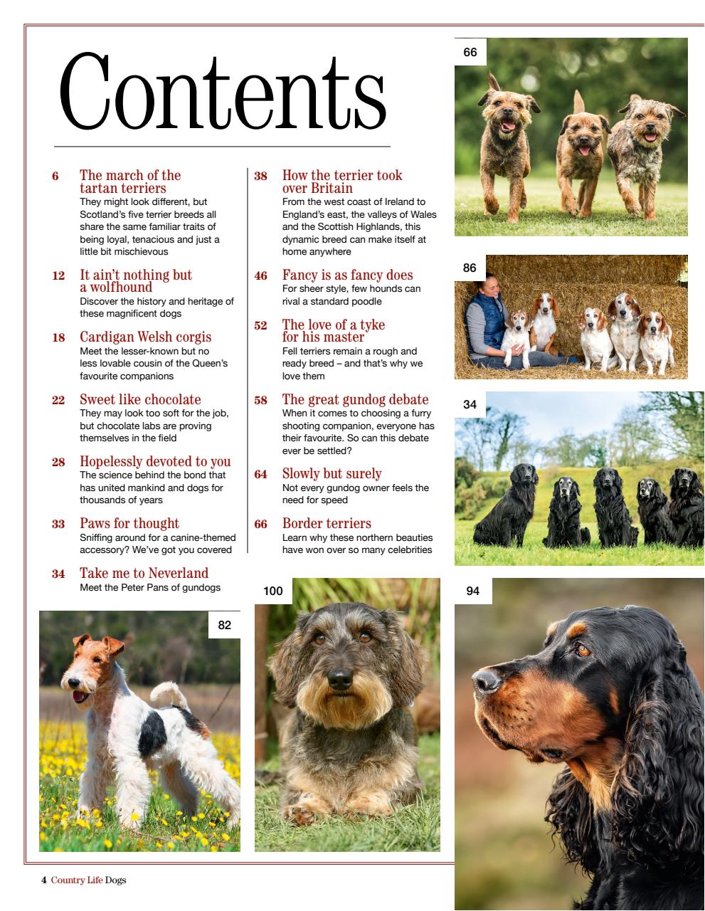 Country Life Bookazine Subscriptions and Country Life: Dogs Fifth ...