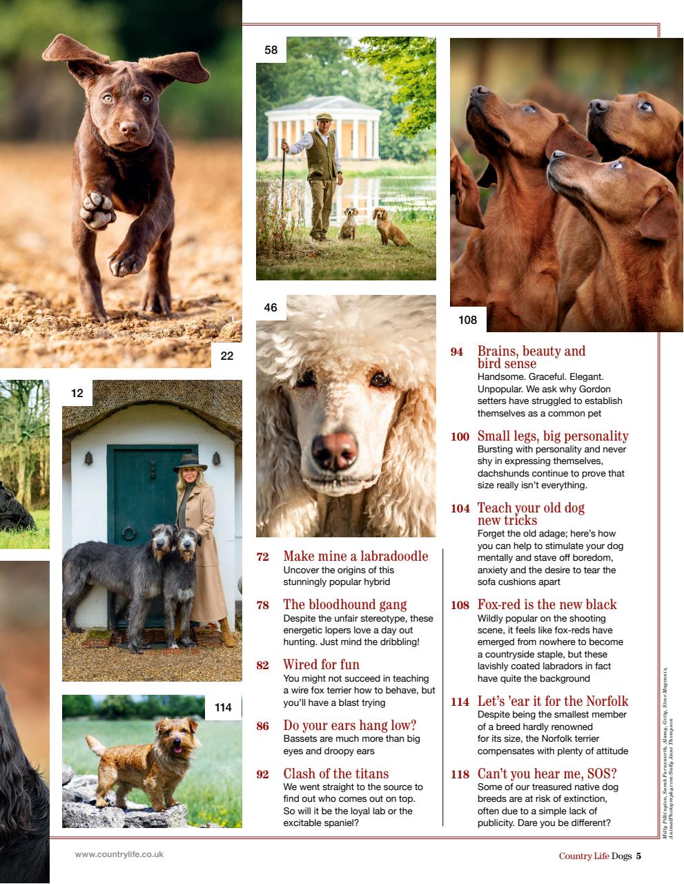 Country Life Bookazine Subscriptions and Country Life: Dogs Fifth ...