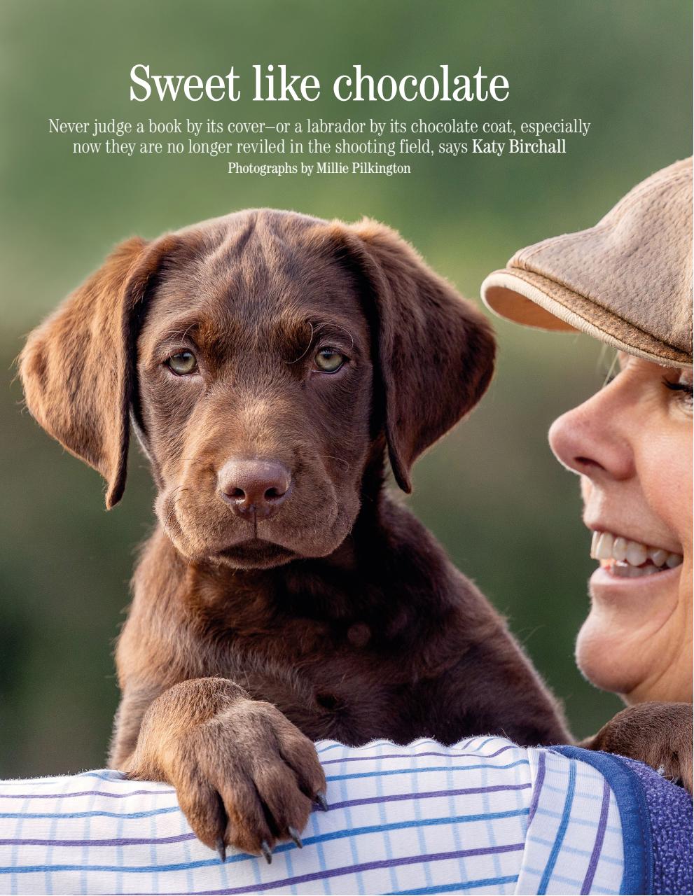 Country Life Bookazine Subscriptions and Country Life: Dogs Fifth ...