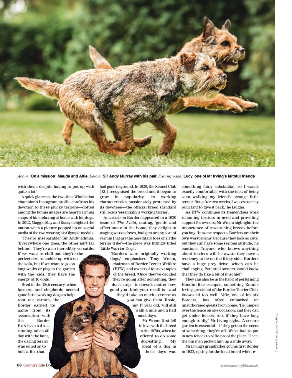 Country Life Bookazine Subscriptions and Country Life: Dogs Fifth ...