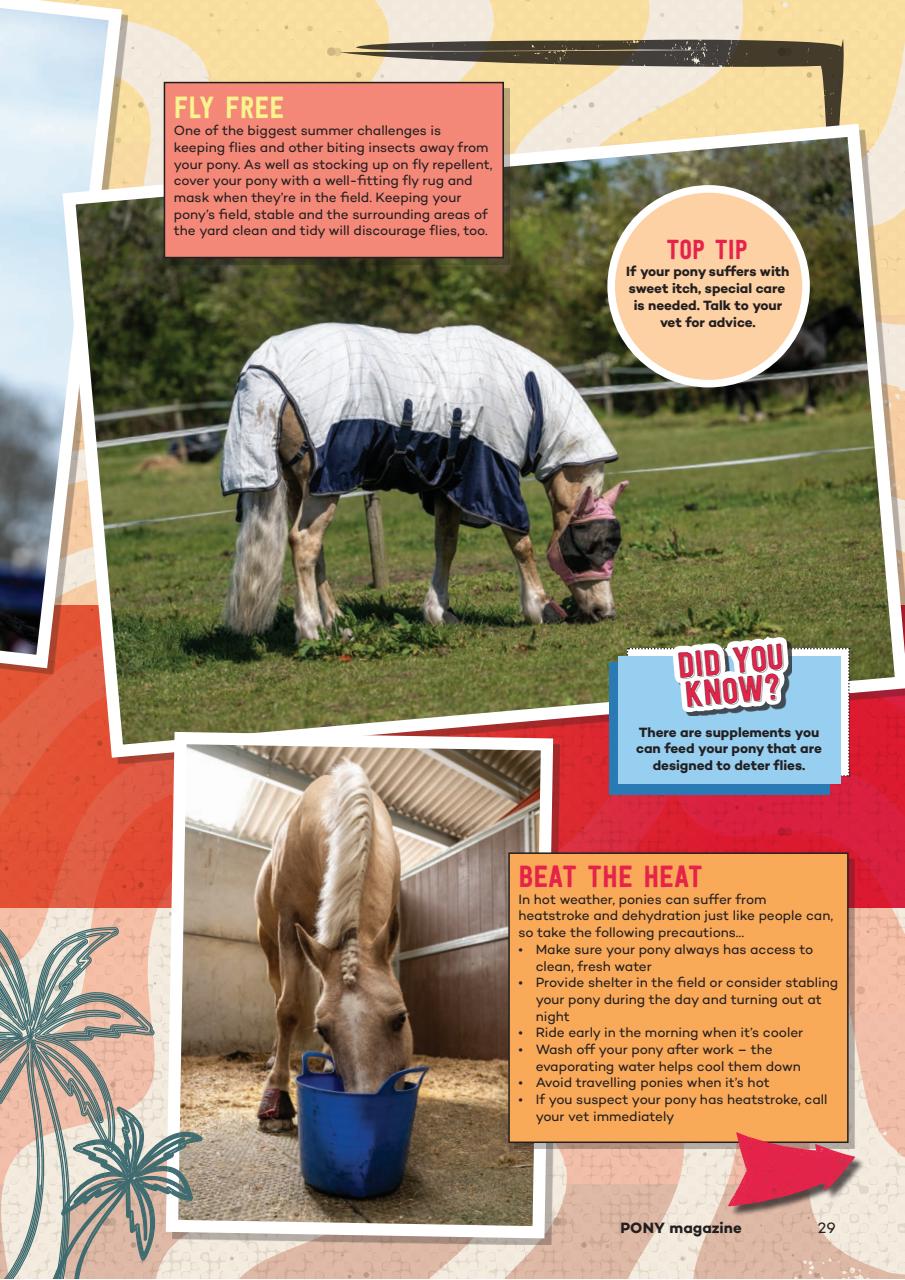 Pony Magazine Subscriptions and PONY Magazine – July 2026 Issue