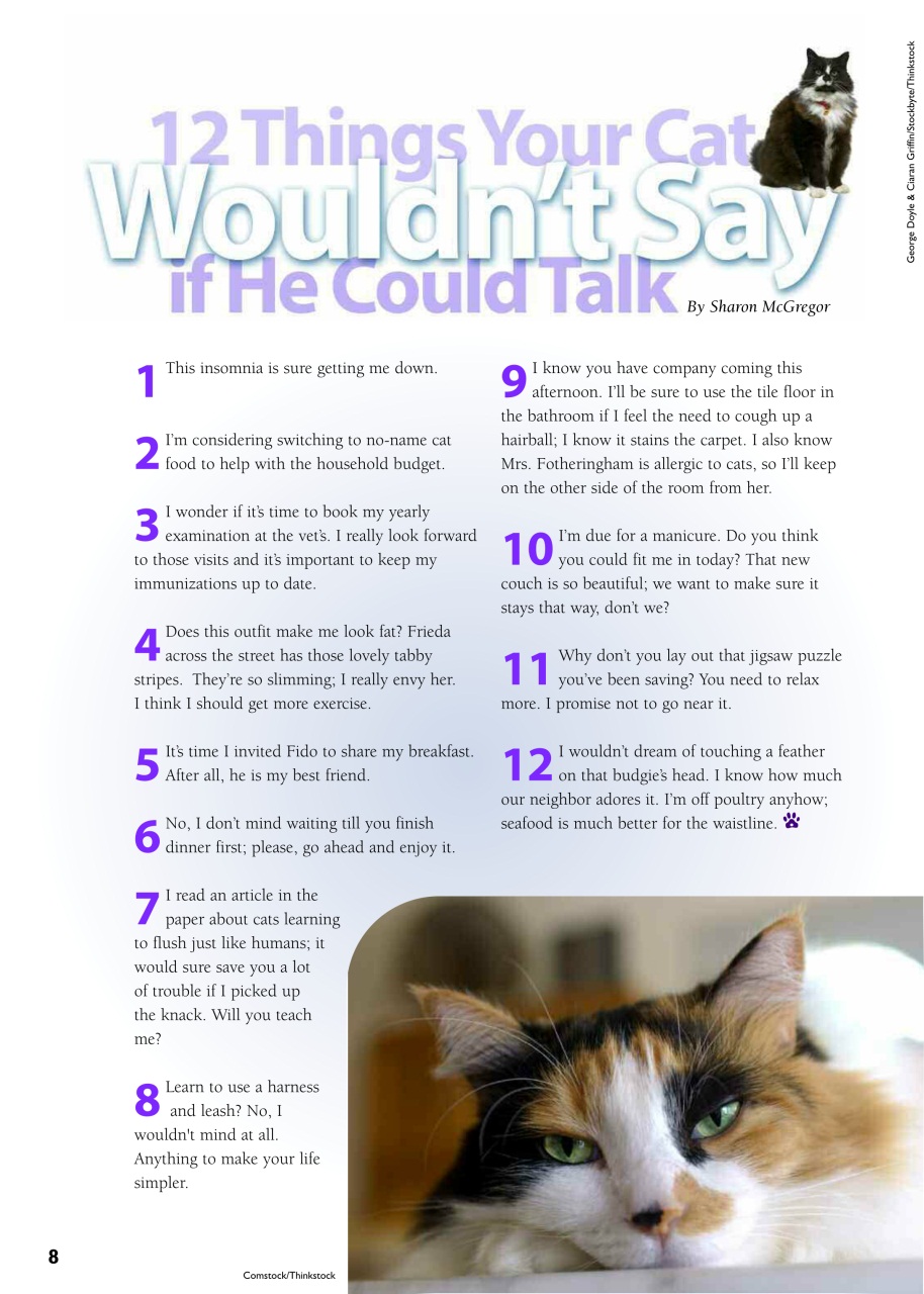 I Love Cats Magazine - Special 16 Page Sample Issue Back Issue