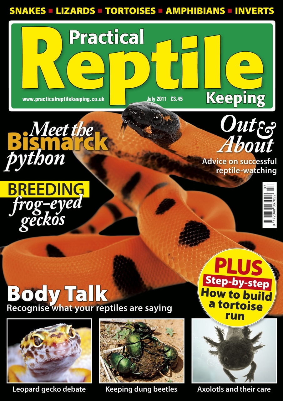 Practical Reptile Keeping Magazine - No.26 Bismark Python Back Issue