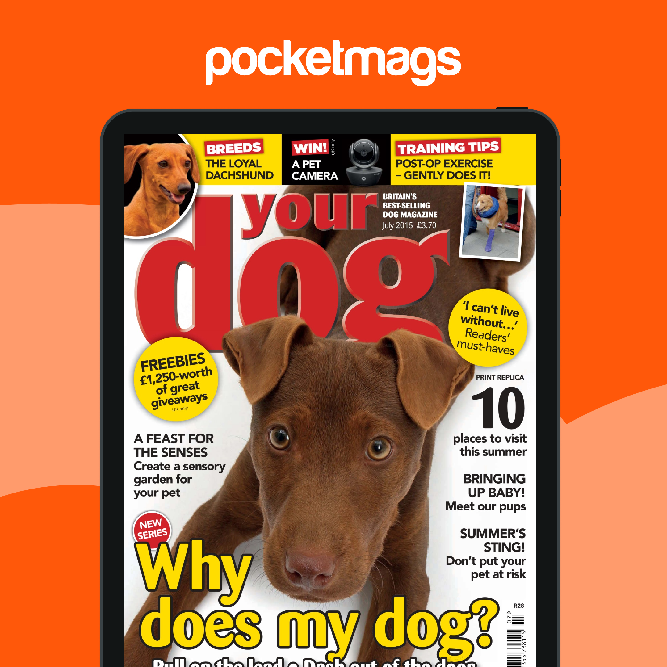 Your Dog Magazine - Your Dog Magazine July 2015 Retour à l'édition ...