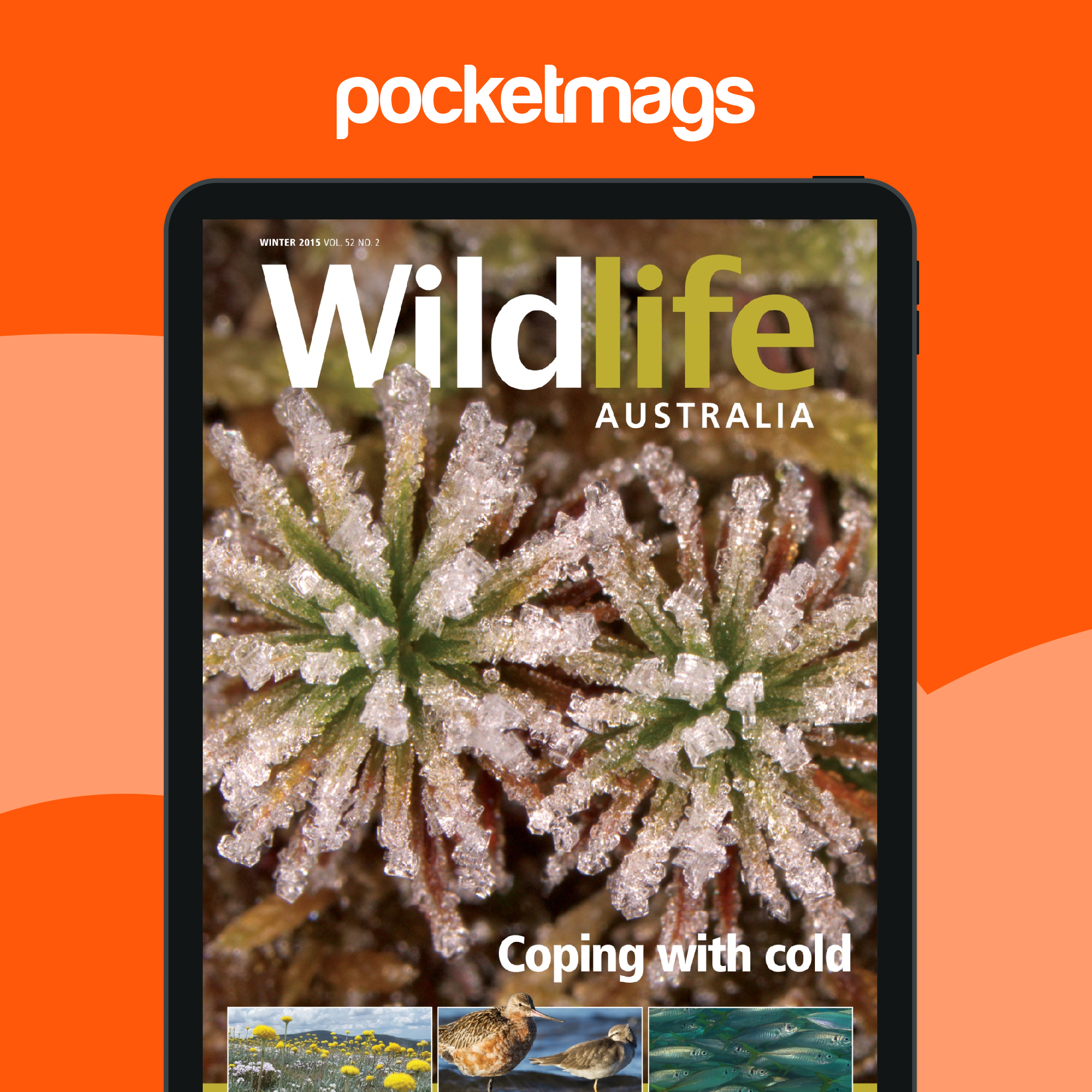 Wildlife Australia Magazine - Wildlife Australia Winter 2015 Edizione ...