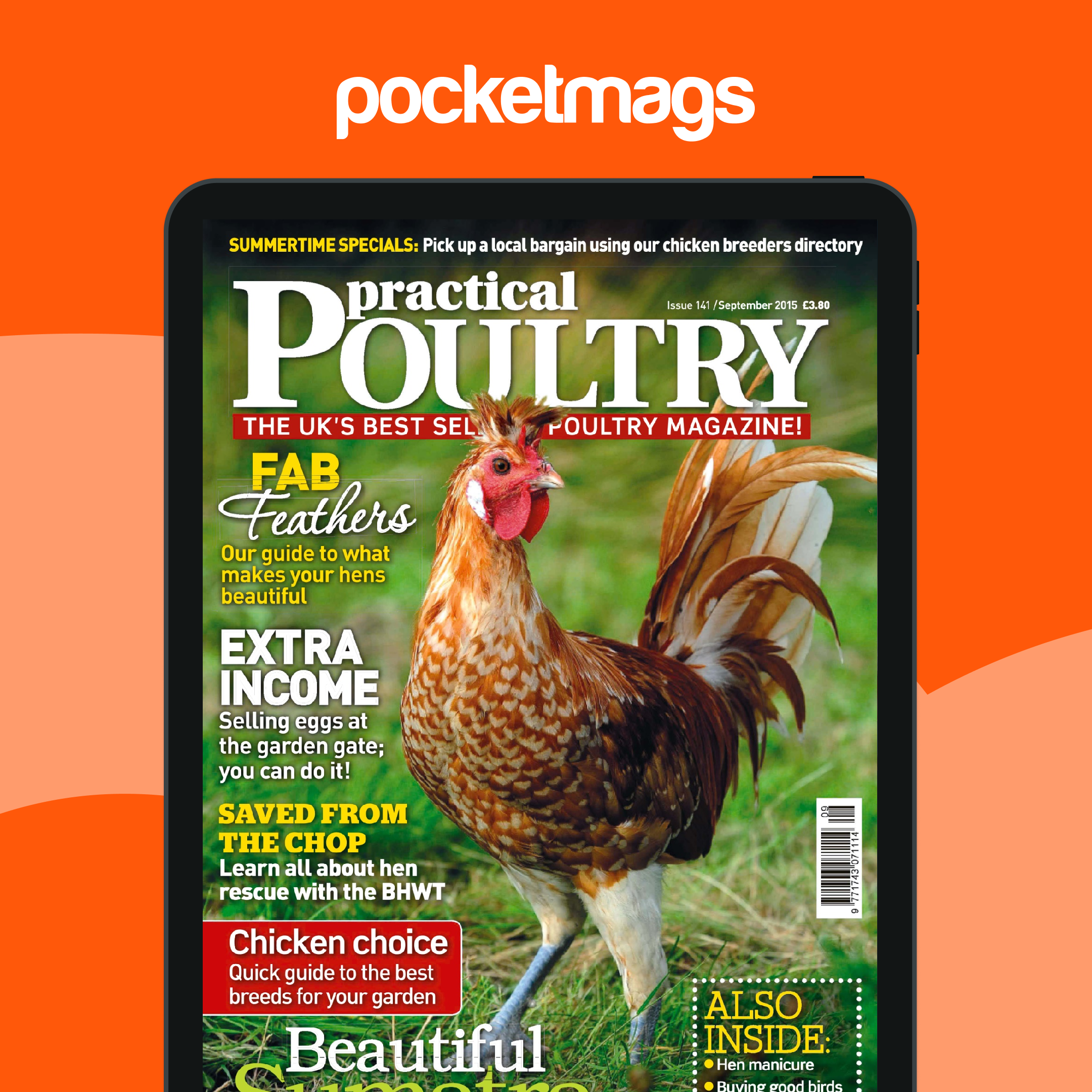 Practical Poultry Magazine - No. 141 Beautiful Sumatra Edición anterior