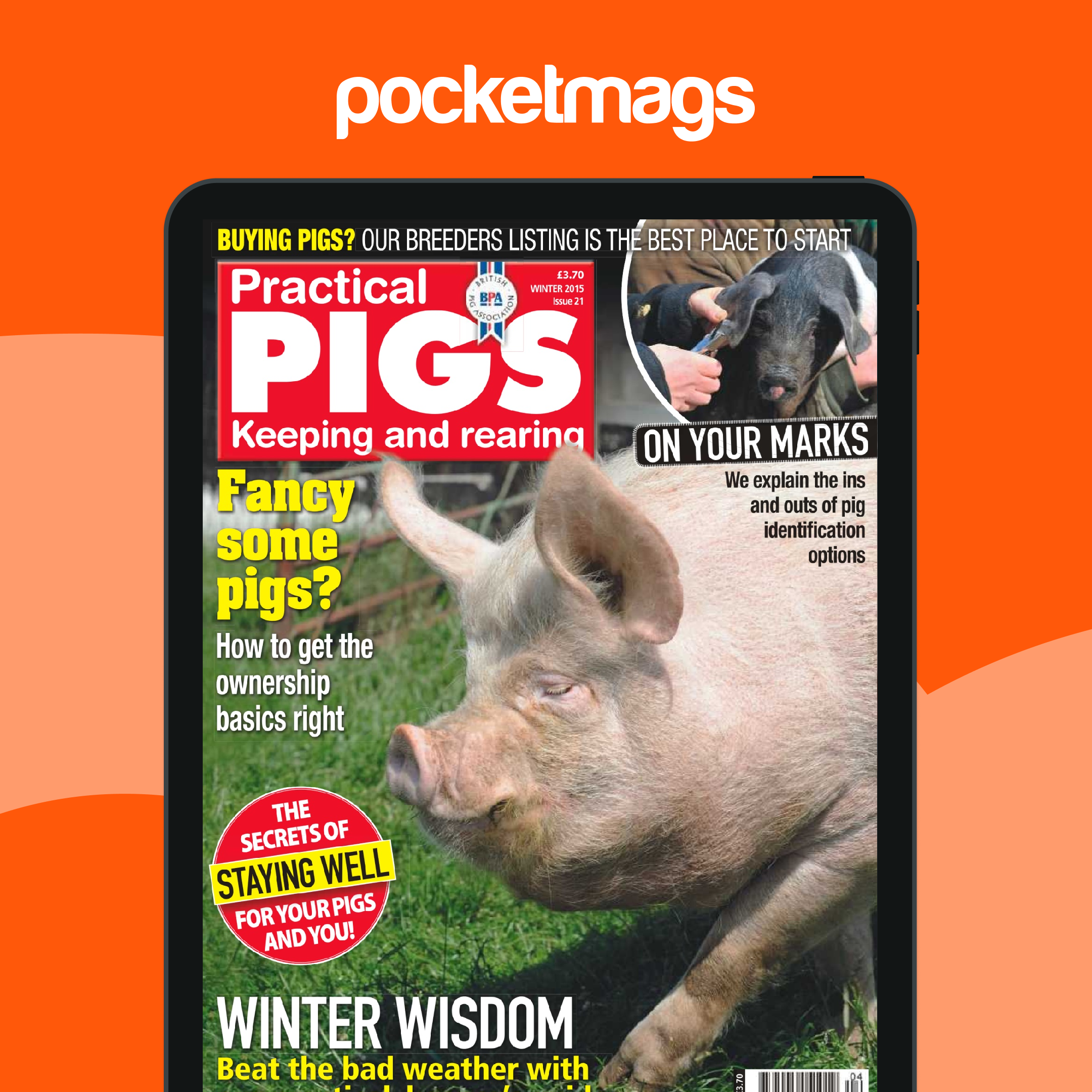 Practical Pigs Magazine - No. 21 Fancy some pigs? Edición anterior