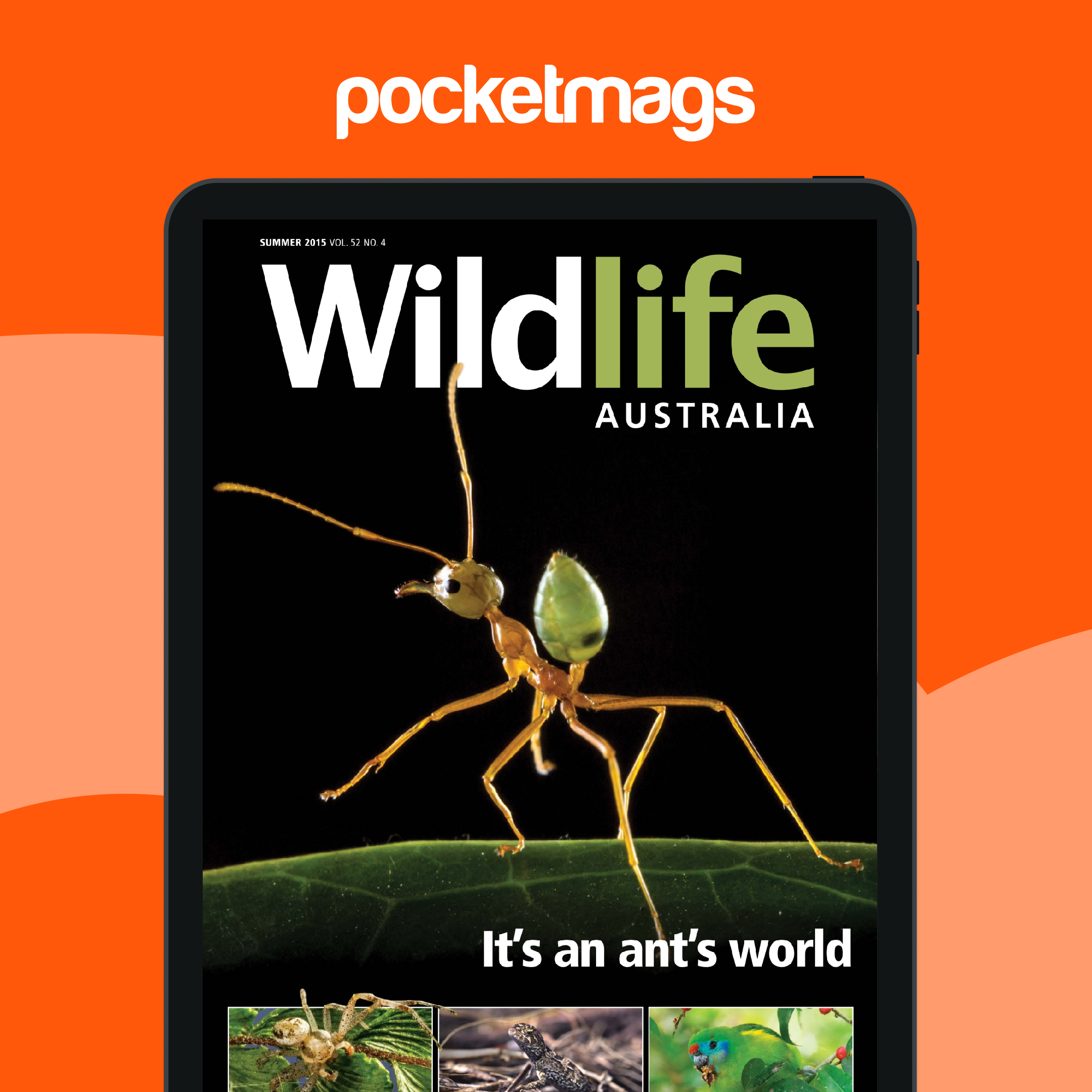 Wildlife Australia Magazine - Wildlife Australia Summer 2015 Retour à l ...