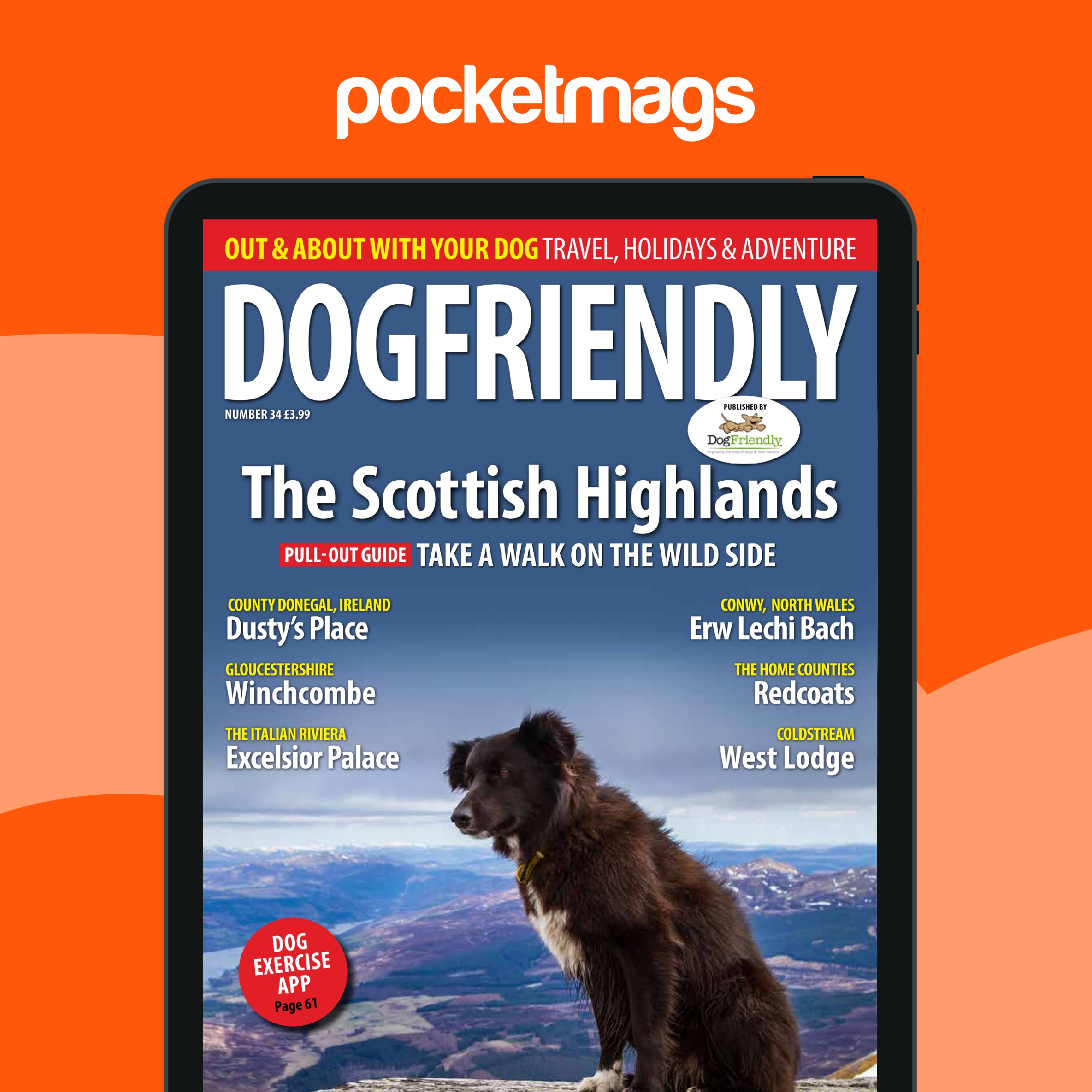 Dog Friendly Magazine - No. 34 - Jan / Feb 2016 Back Issue