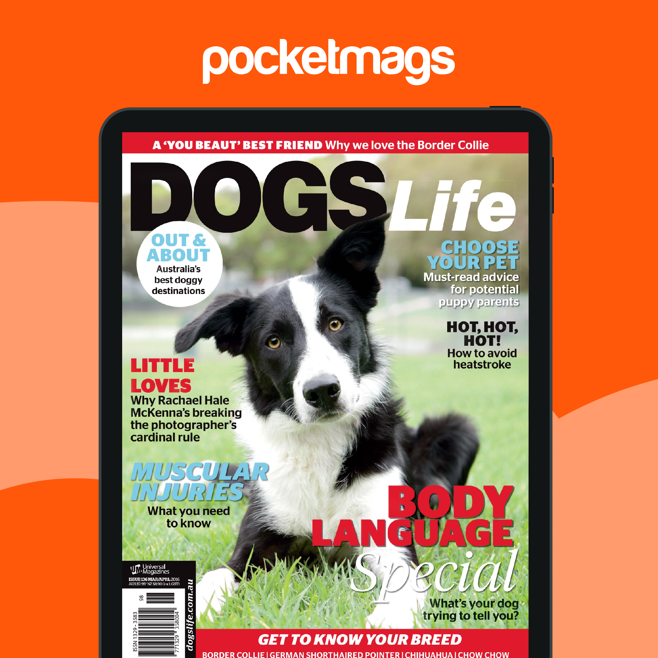 Dogs Life Magazine - Mar/Apr Issue#136 Back Issue