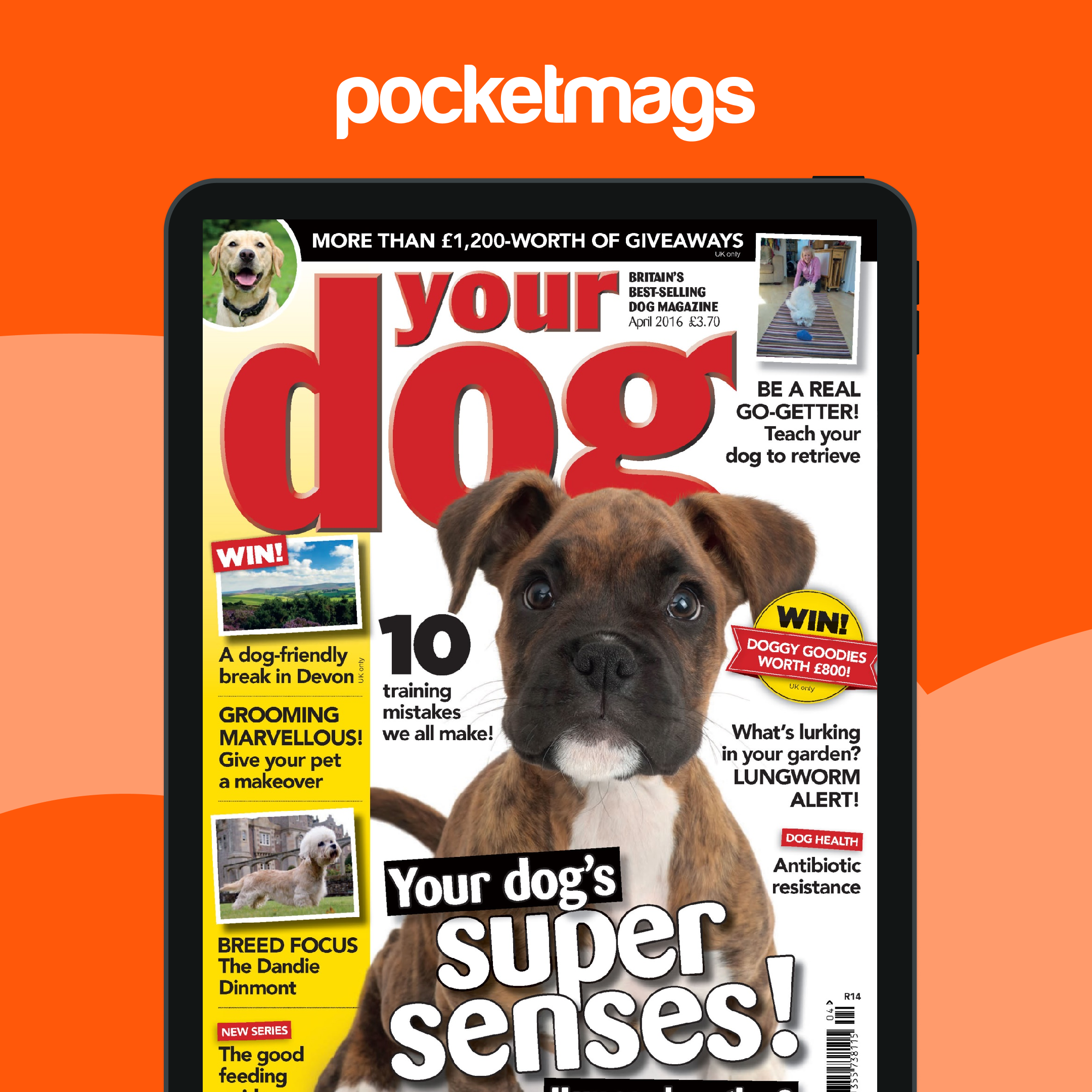 Your Dog Magazine - Your Dog Magazine April 2016 Retour à l'édition ...