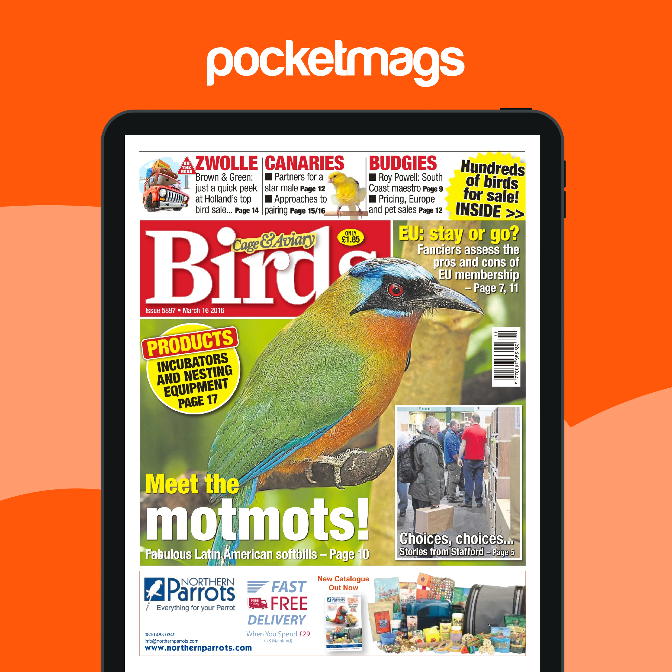 Cage & Aviary Birds Magazine - No. 5897 Meet The Motmots! Edición anterior