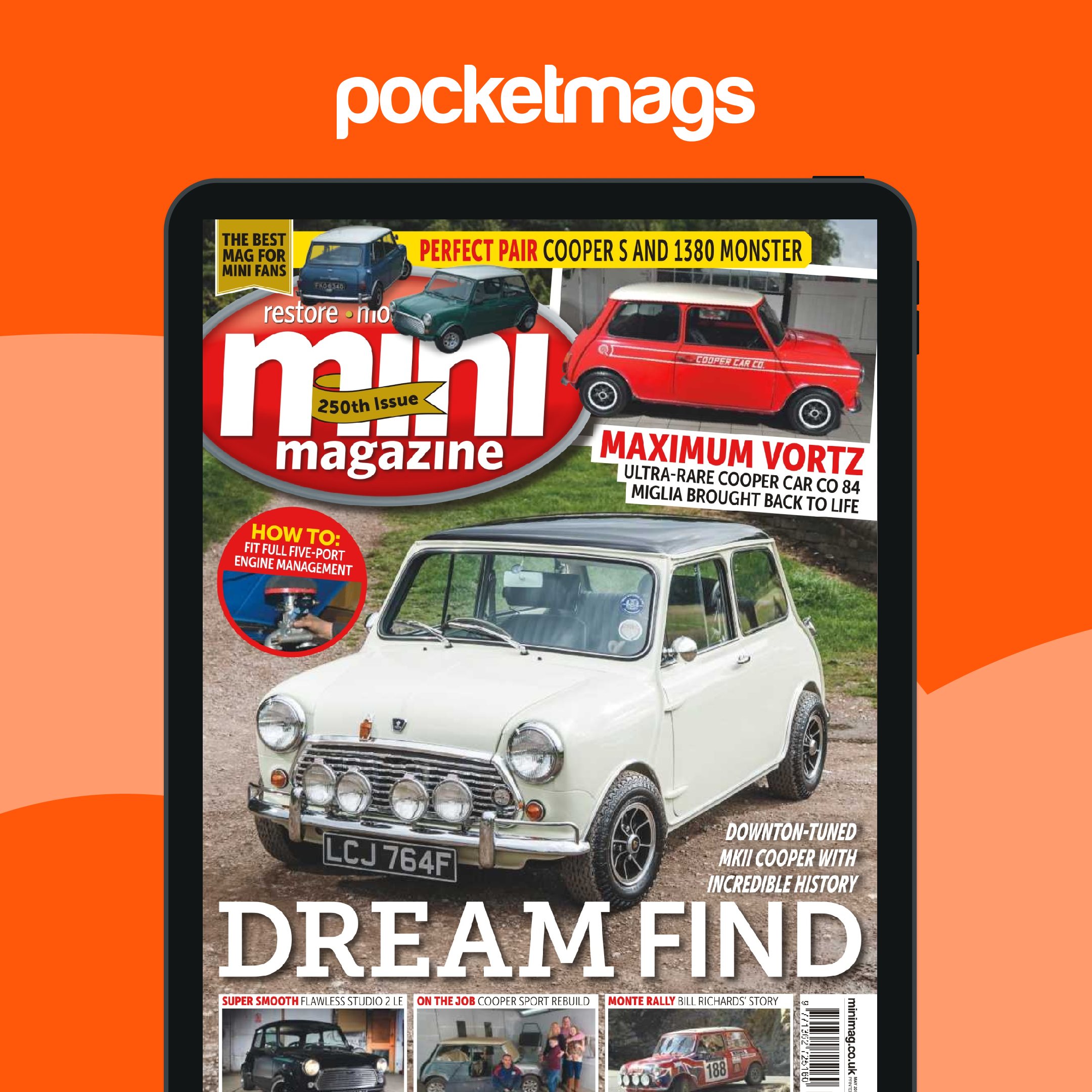 Mini Magazine - No. 250 Dream Find Edición anterior