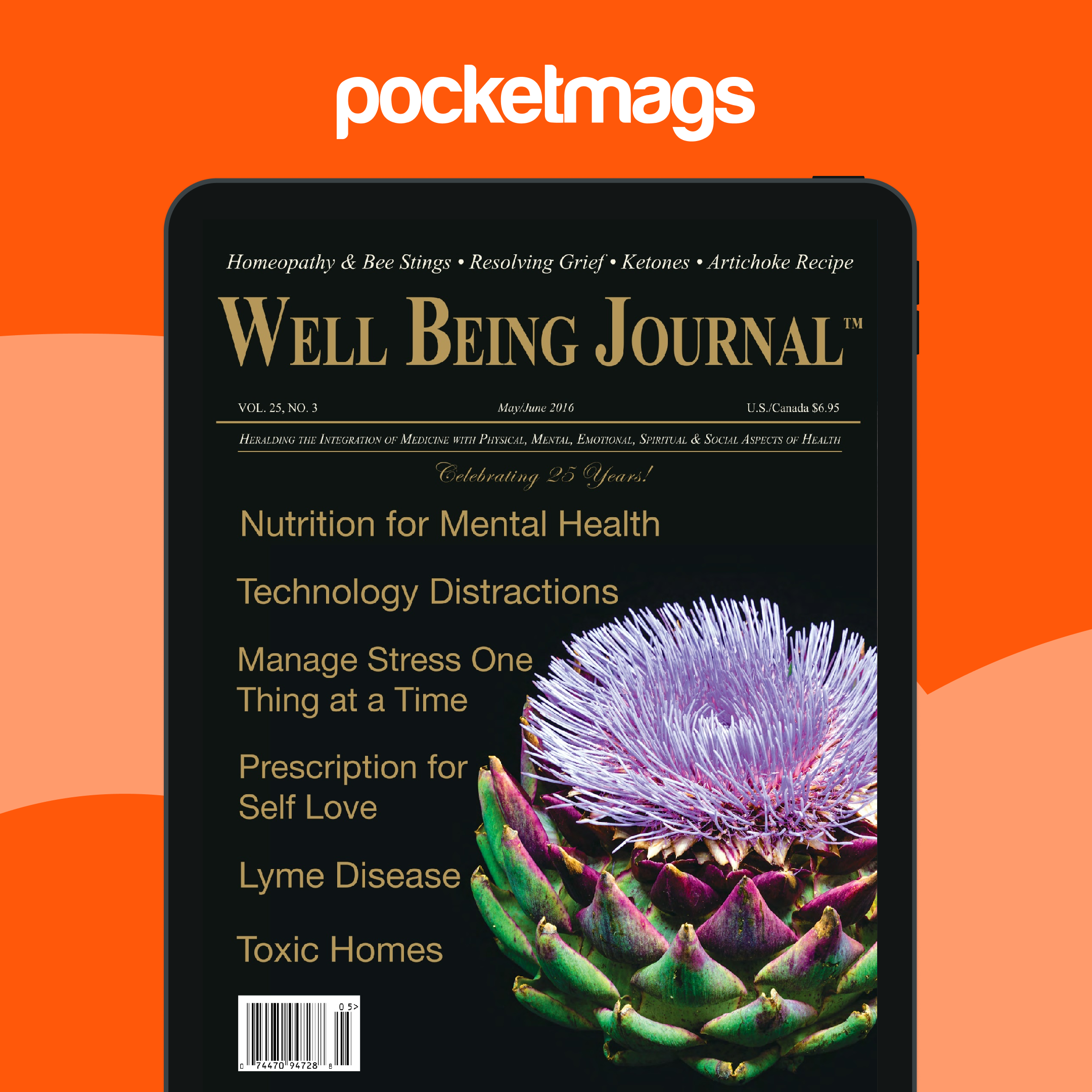 Well Being Journal Magazine - Vol. 25 No. 3 MayJune 2016 Edición anterior