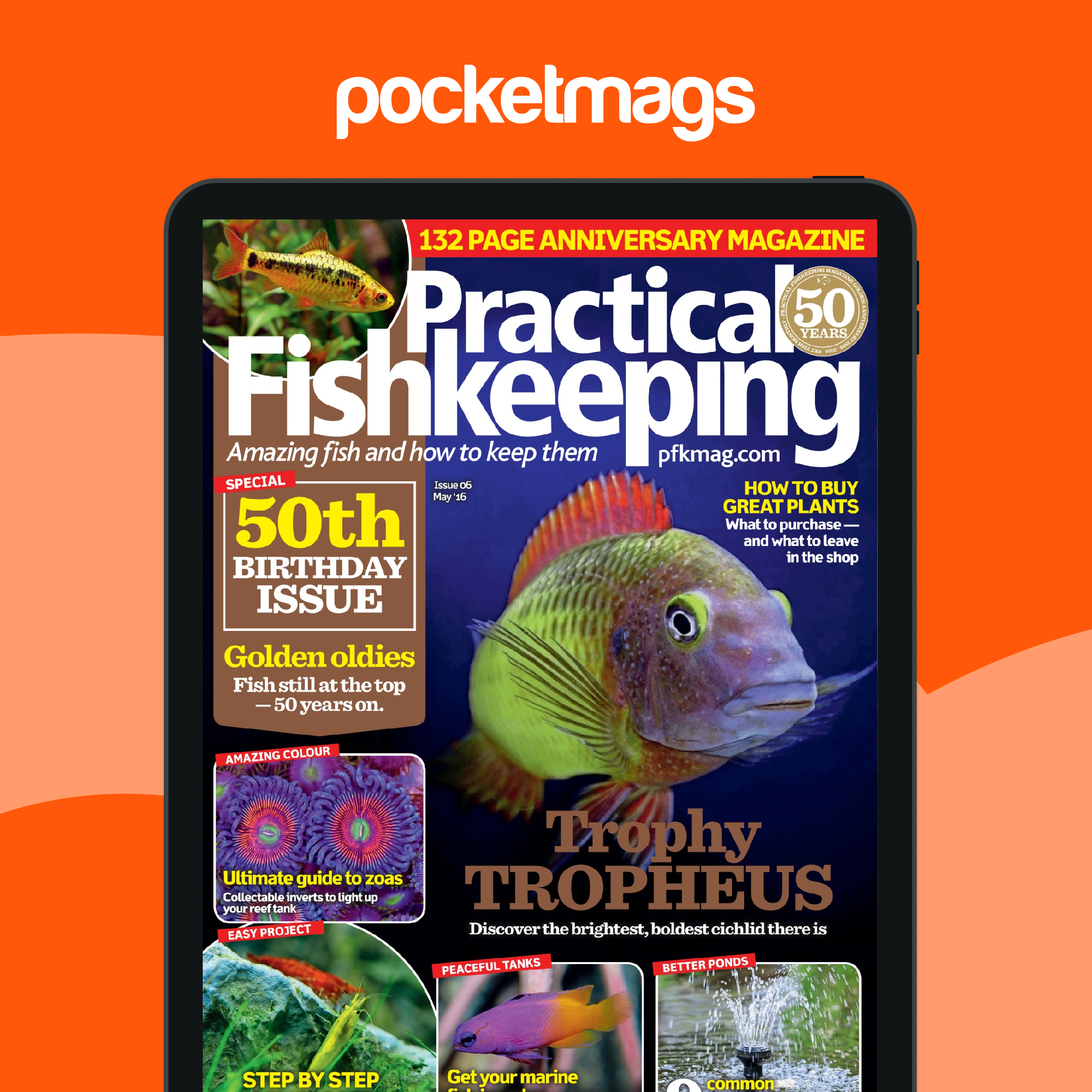Practical Fishkeeping Magazine - May 2016 Edición anterior
