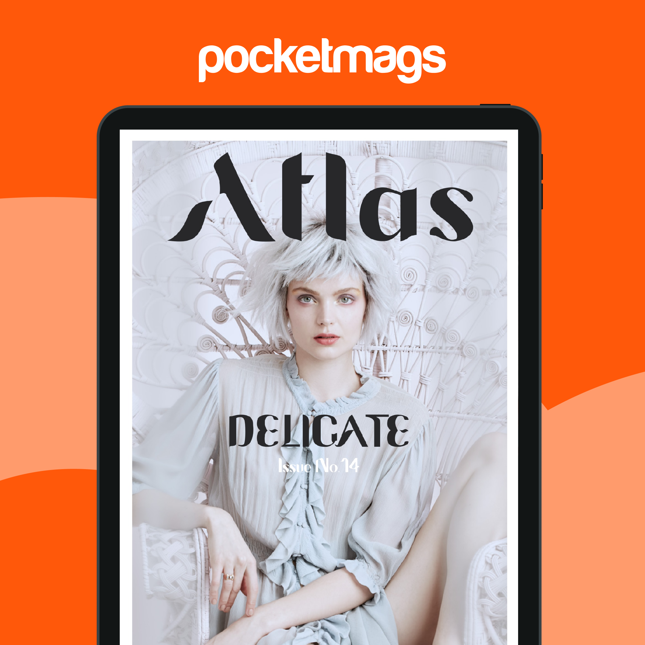 Atlas Magazine Suscripciones y The Delicate Issue edición