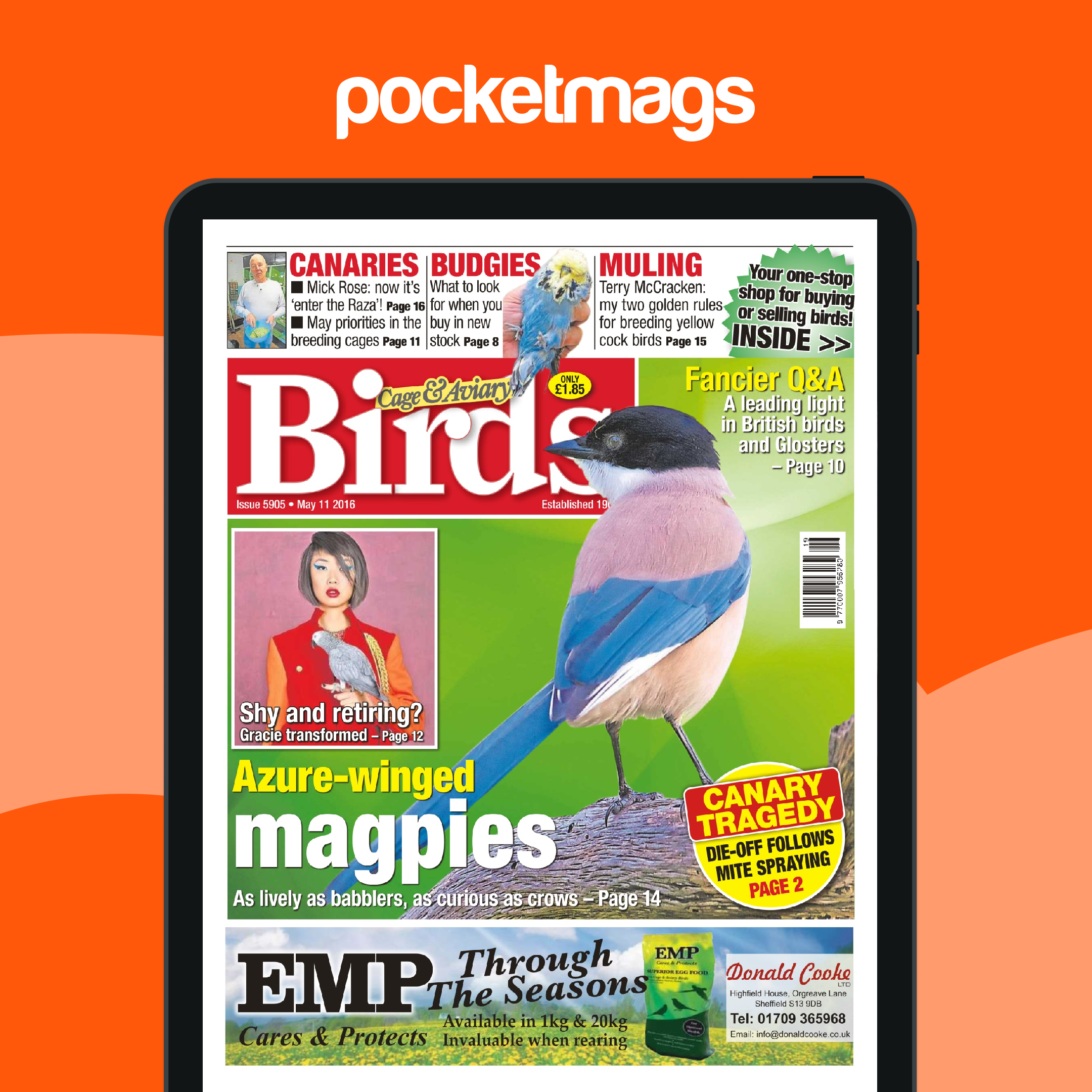 Cage & Aviary Birds Magazine - No. 5905 Azure-Winged Magpies Retour à l'édition précédente