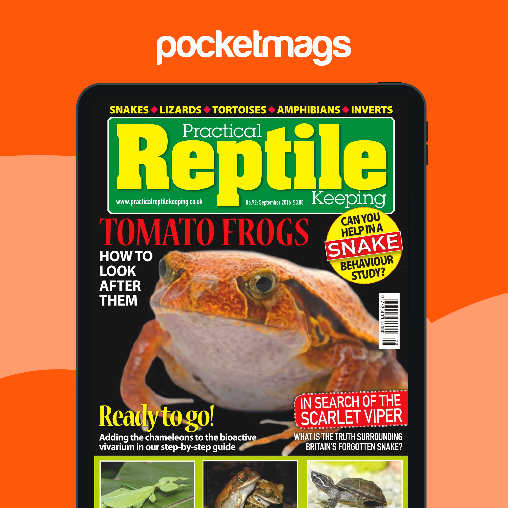 Practical Reptile Keeping Magazine - No. 92 Tomato Frogs Edición anterior