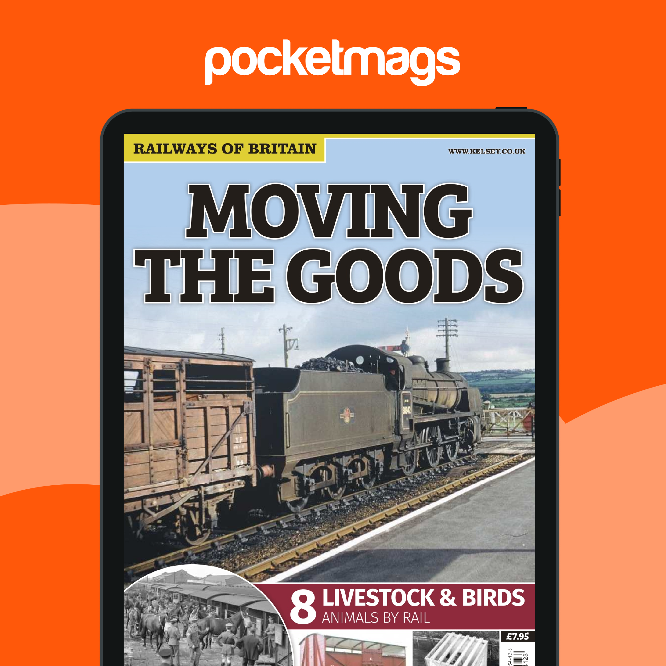 Railways of Britain Magazine - Moving The Goods 8: Livestock & BIrds ...