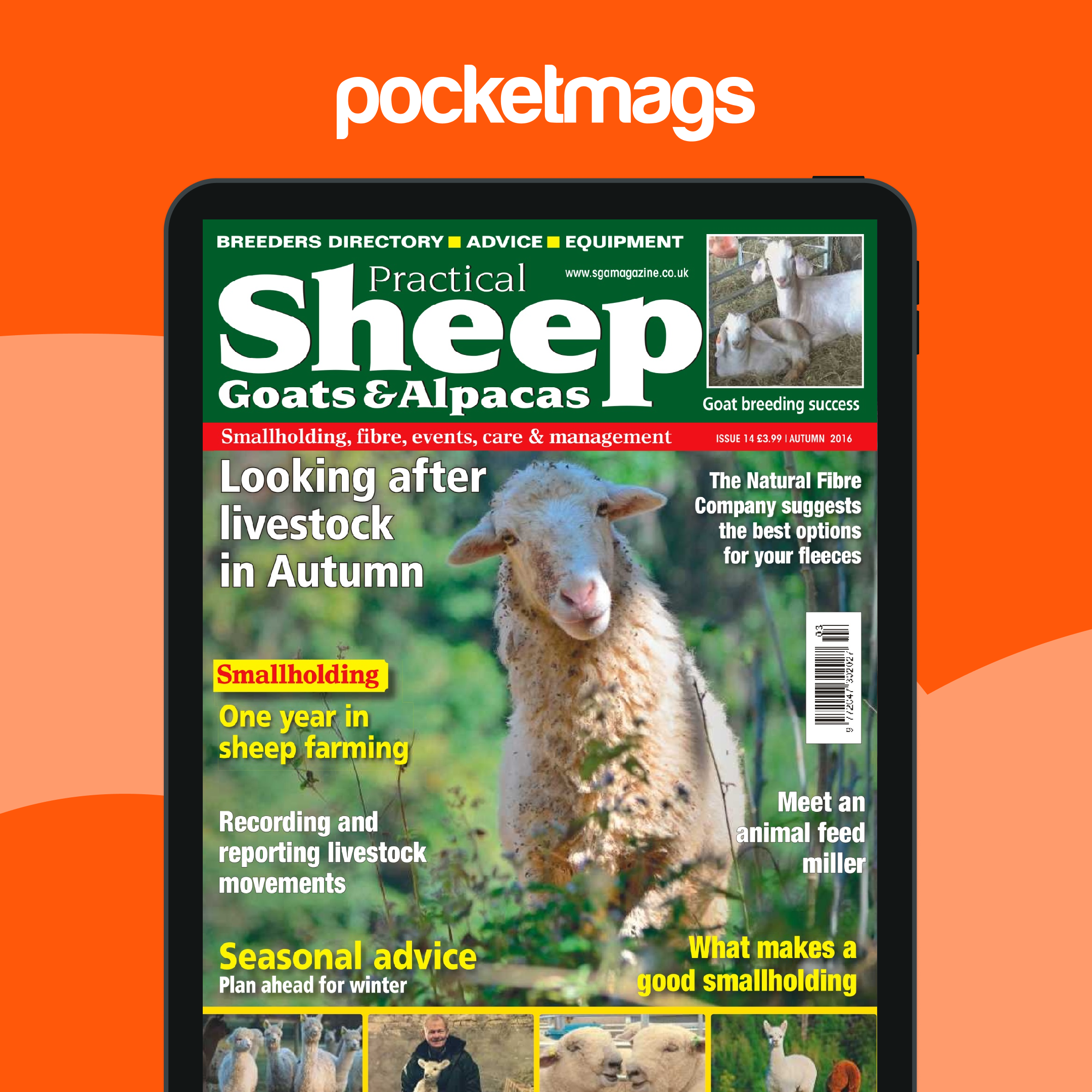 The Smallholder Magazine - No. 14 Looking After Livestock In Autumn ...