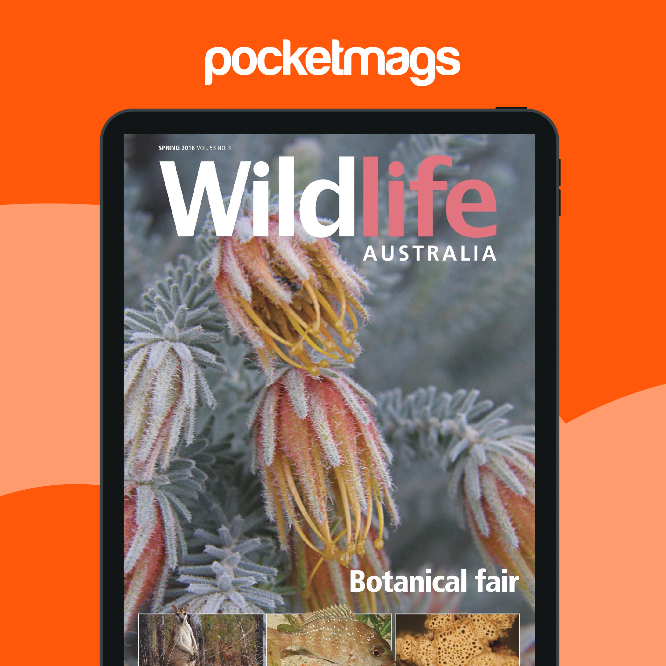 Wildlife Australia Magazine - Wildlife Australia Magazine Spring 2016 ...
