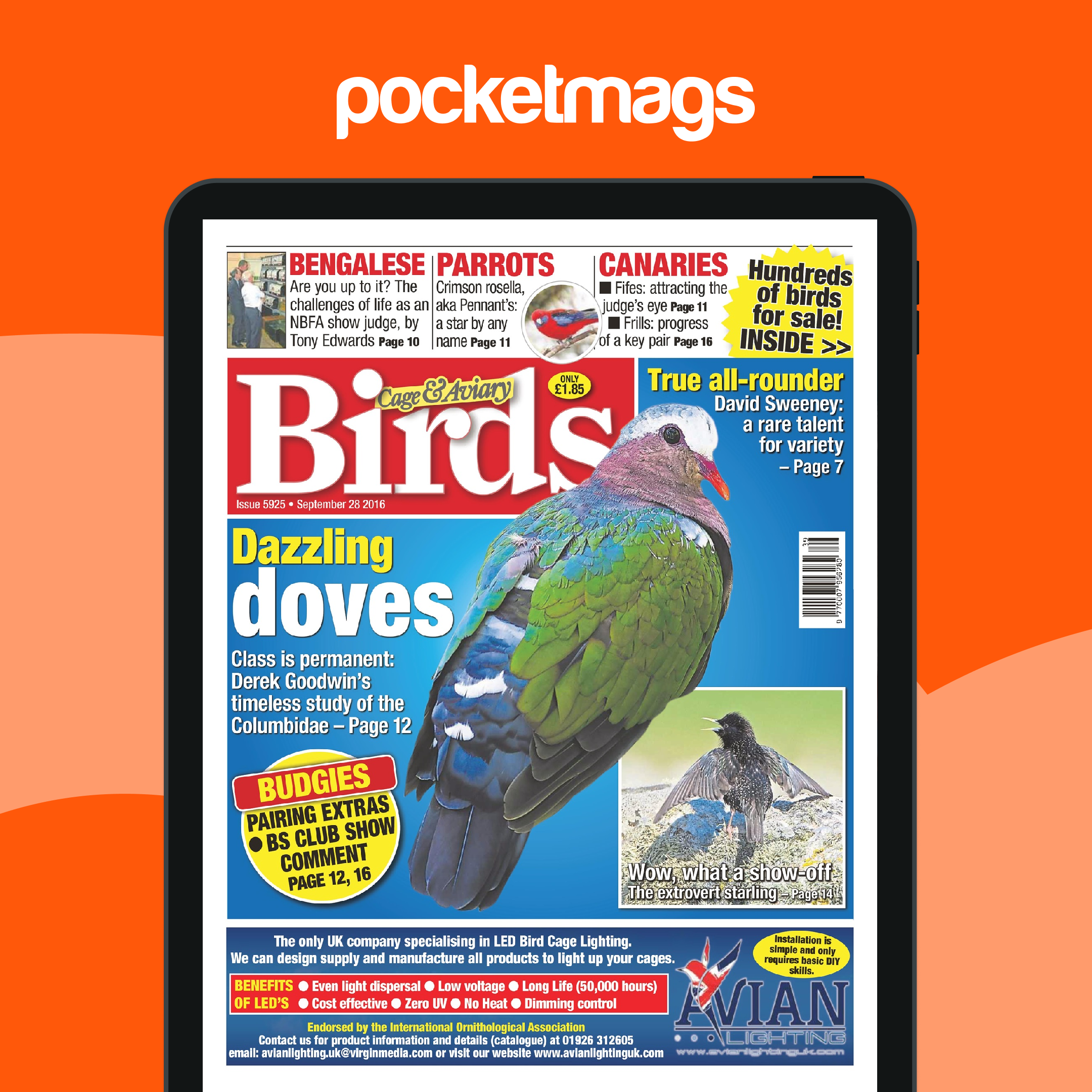Cage & Aviary Birds Magazine - No. 5925 Dazzling Doves Edición anterior
