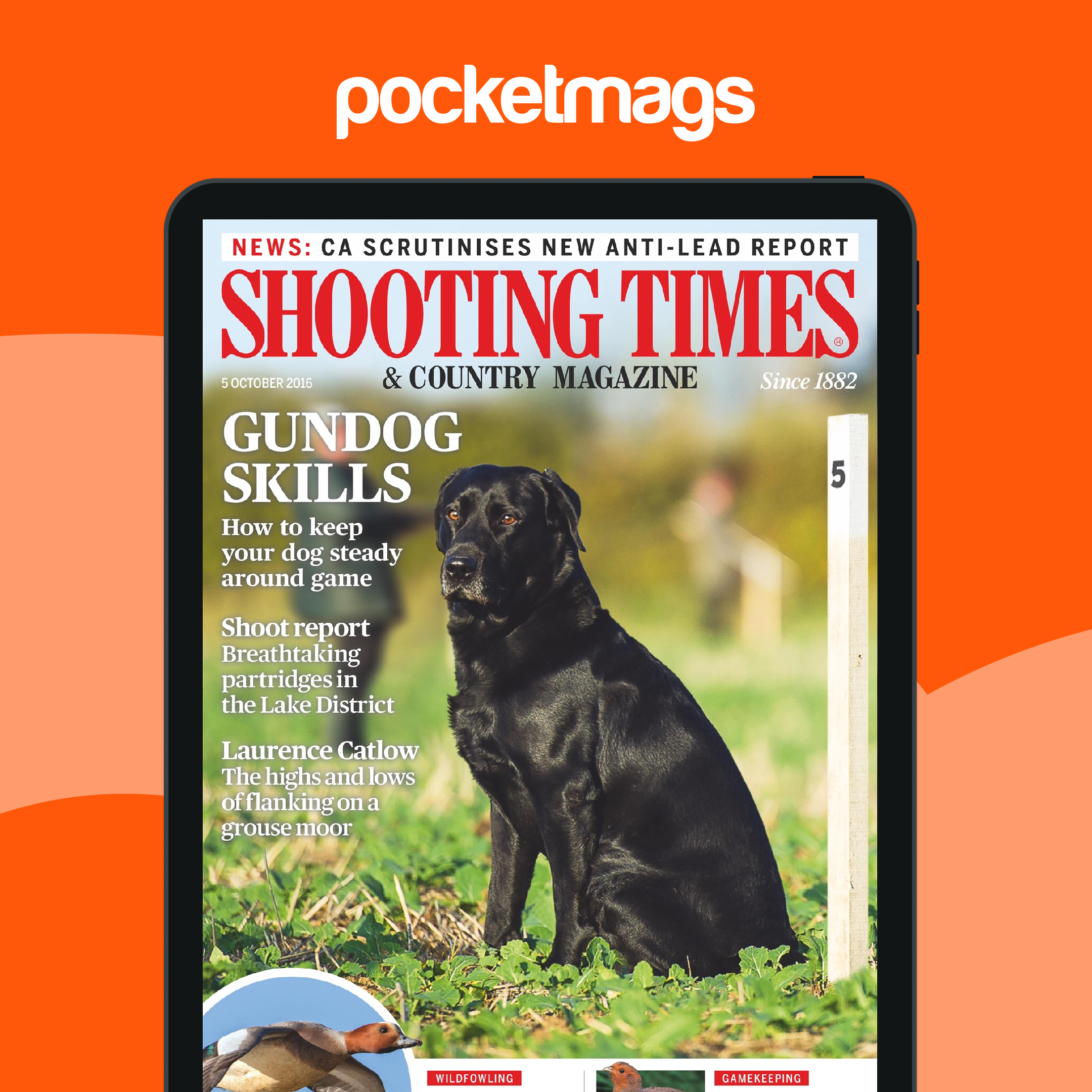Shooting Times & Country Magazine - 5th October 2016 Retour à l'édition ...