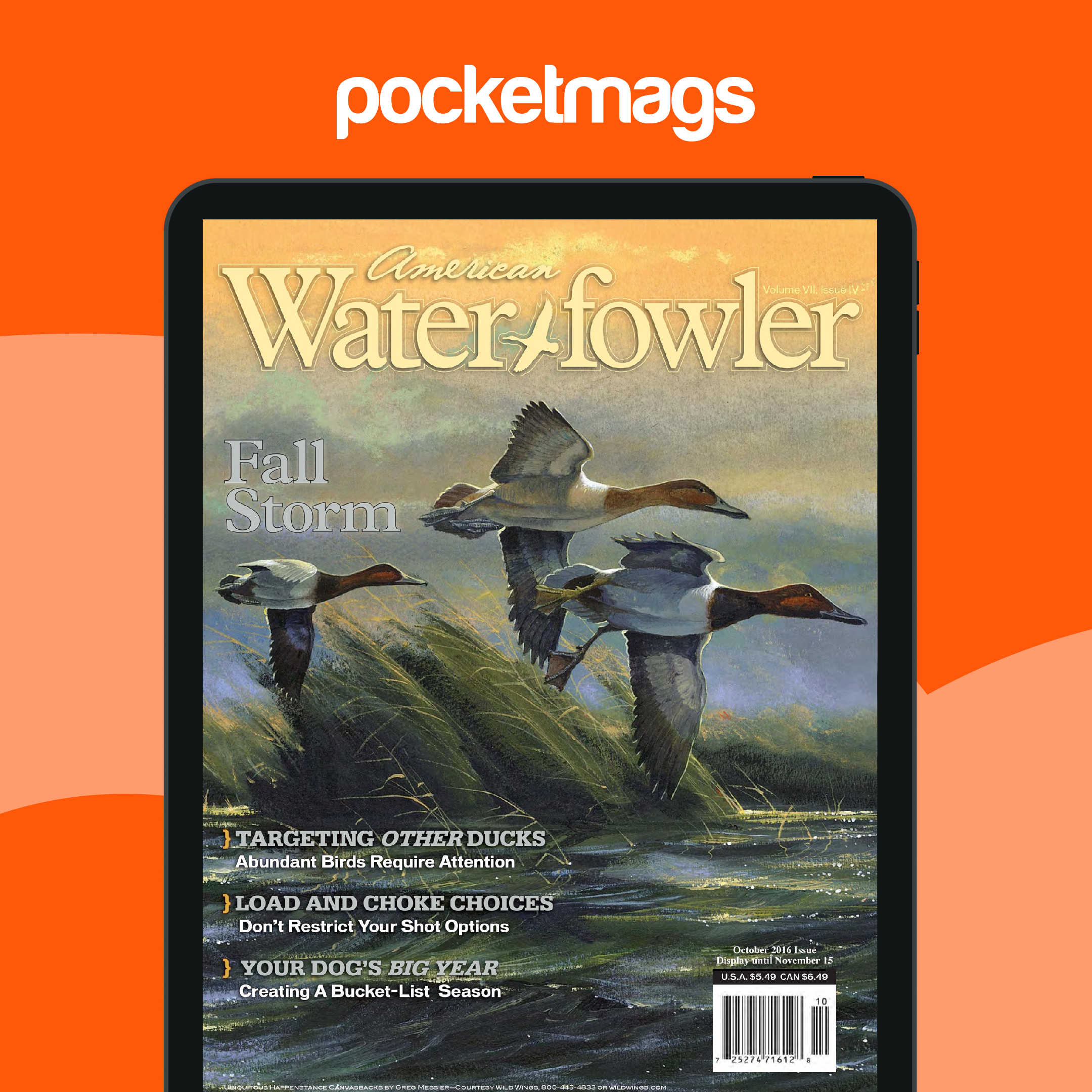 American Waterfowler Magazine - Volume VII, Issue IV Edición anterior