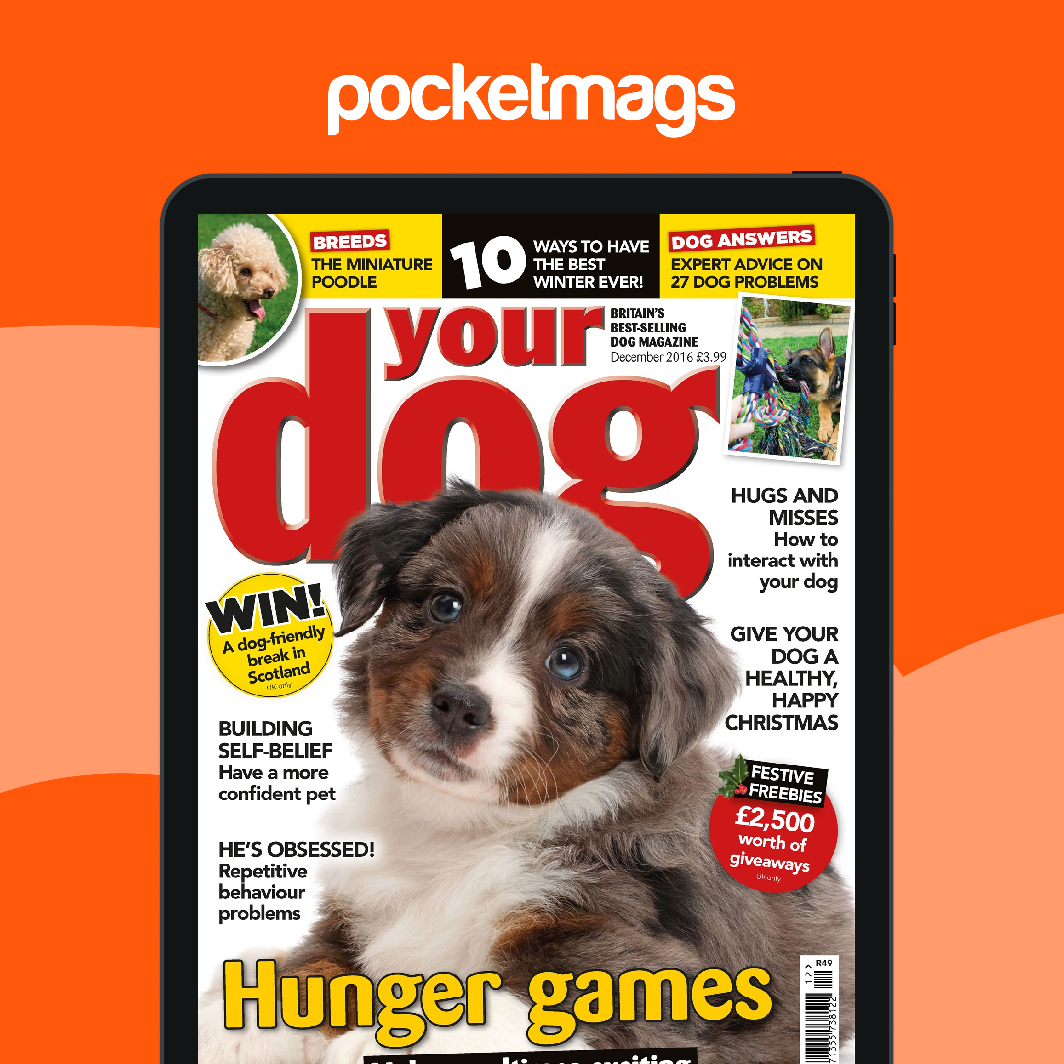 Your Dog Magazine - Your Dog Magazine December 2016 Edição anterior
