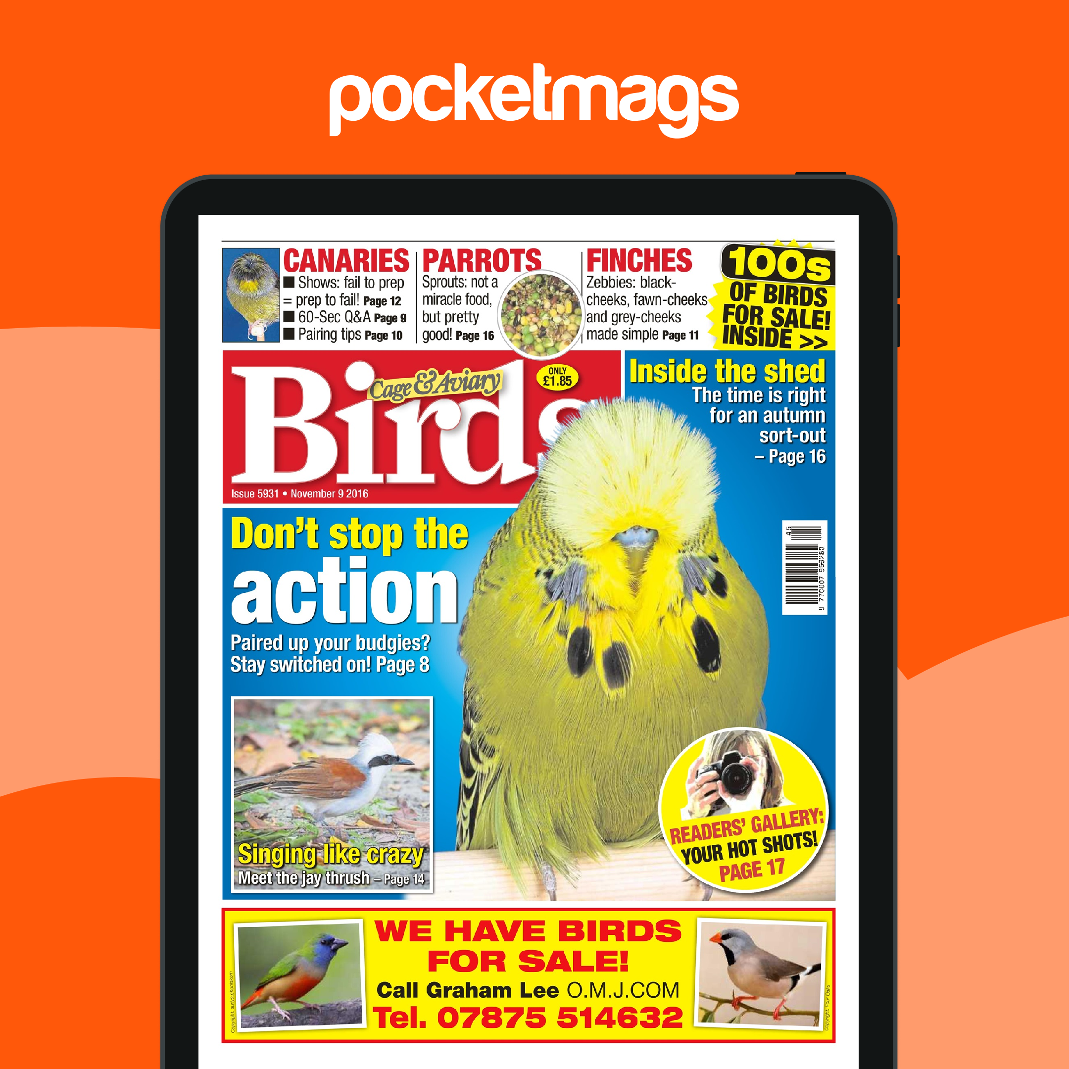 Cage & Aviary Birds Magazine - No. 5931 Don't Stop The Action Edición anterior