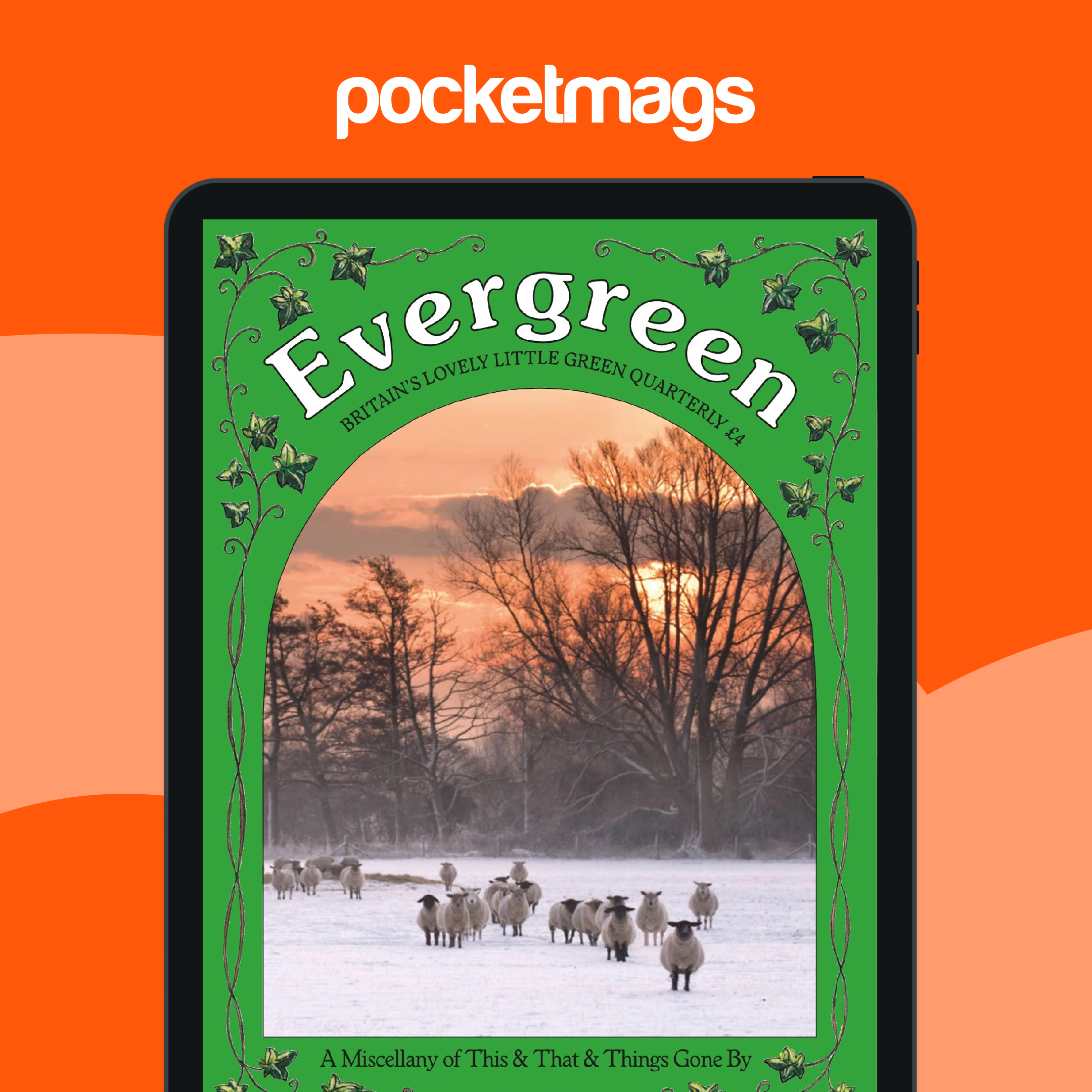 Evergreen Magazine - Winter 2016 Back Issue