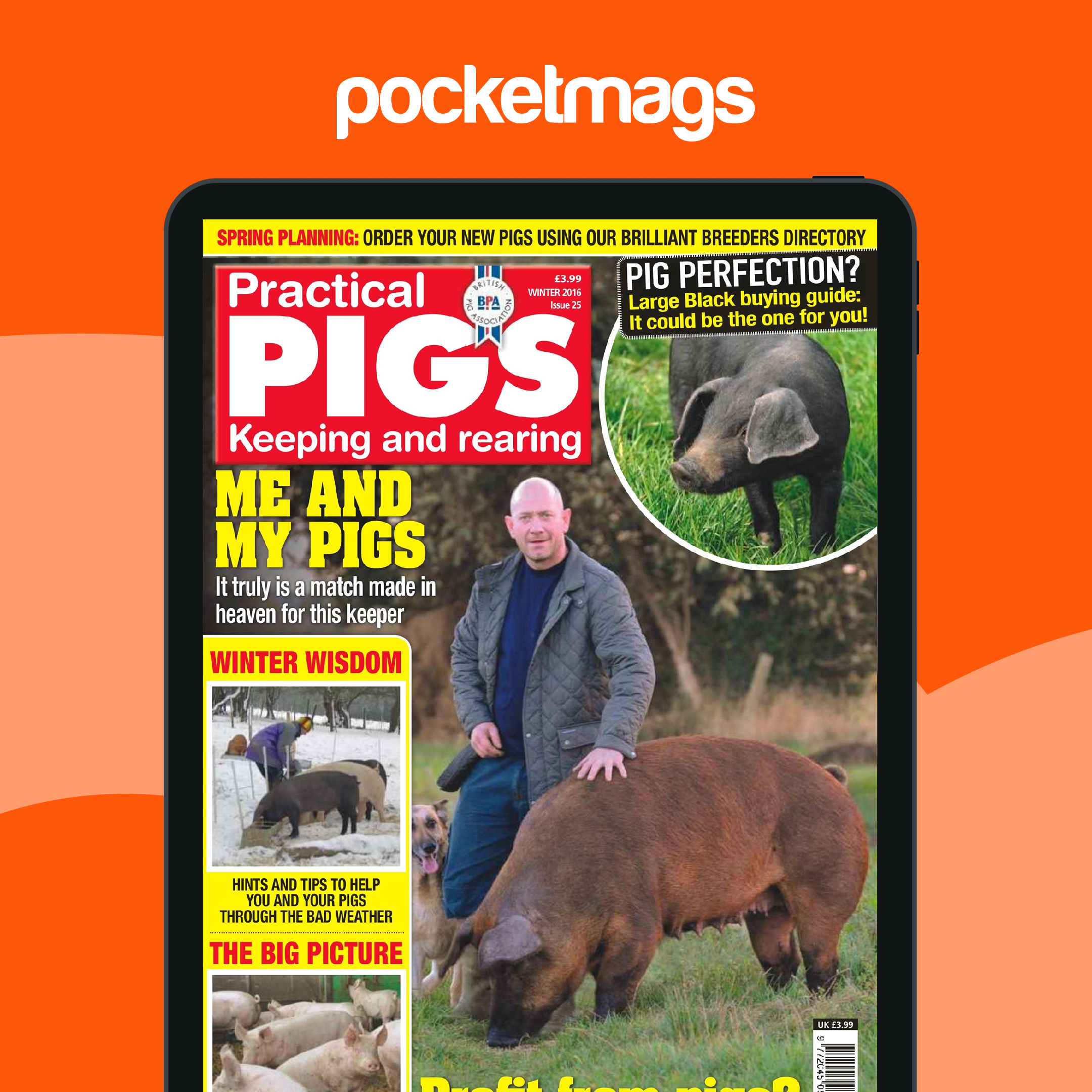 Practical Pigs Magazine - No. 25 Me And My Pigs Edición anterior