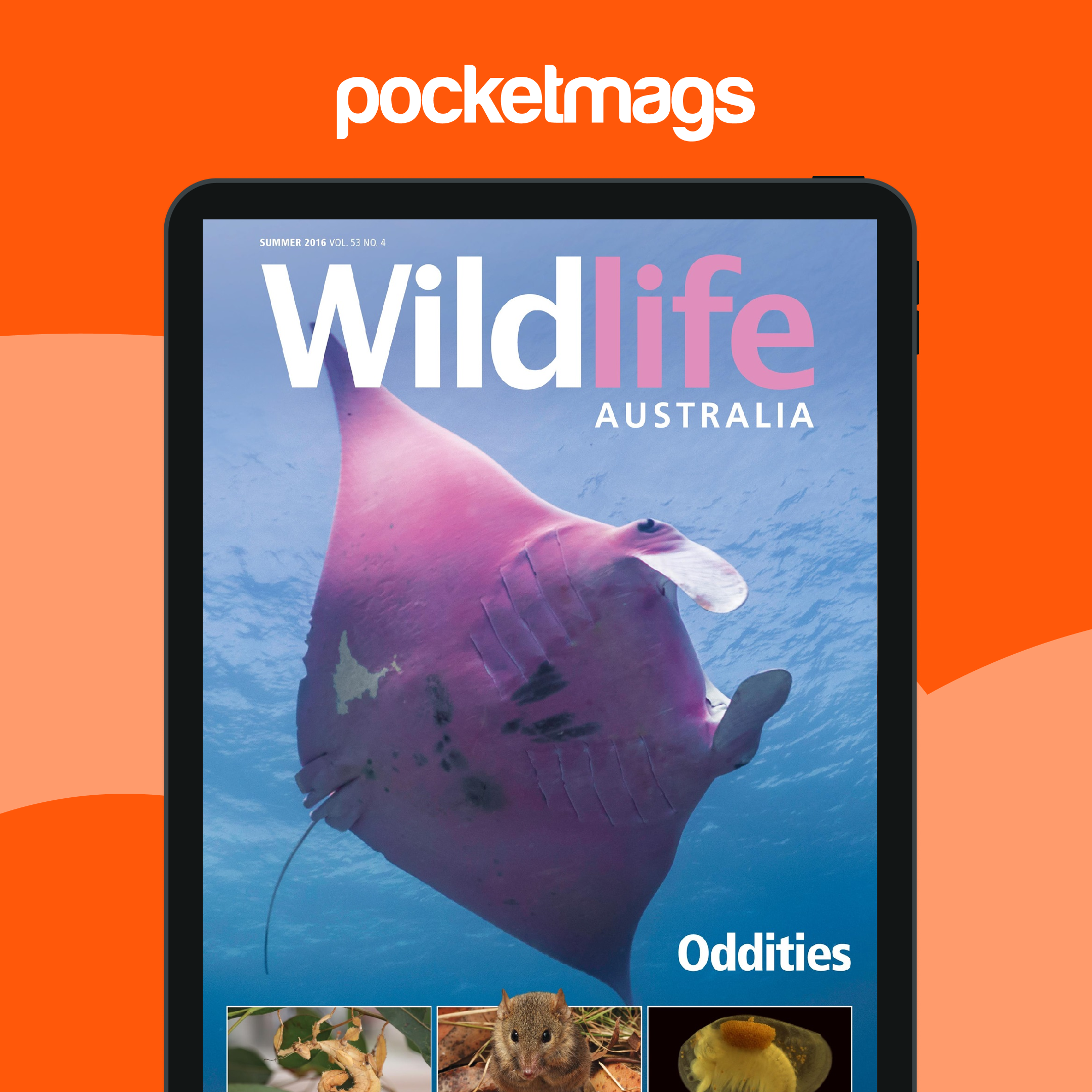 Wildlife Australia Magazine - Wildlife Australia Magazine Summer 2016 ...