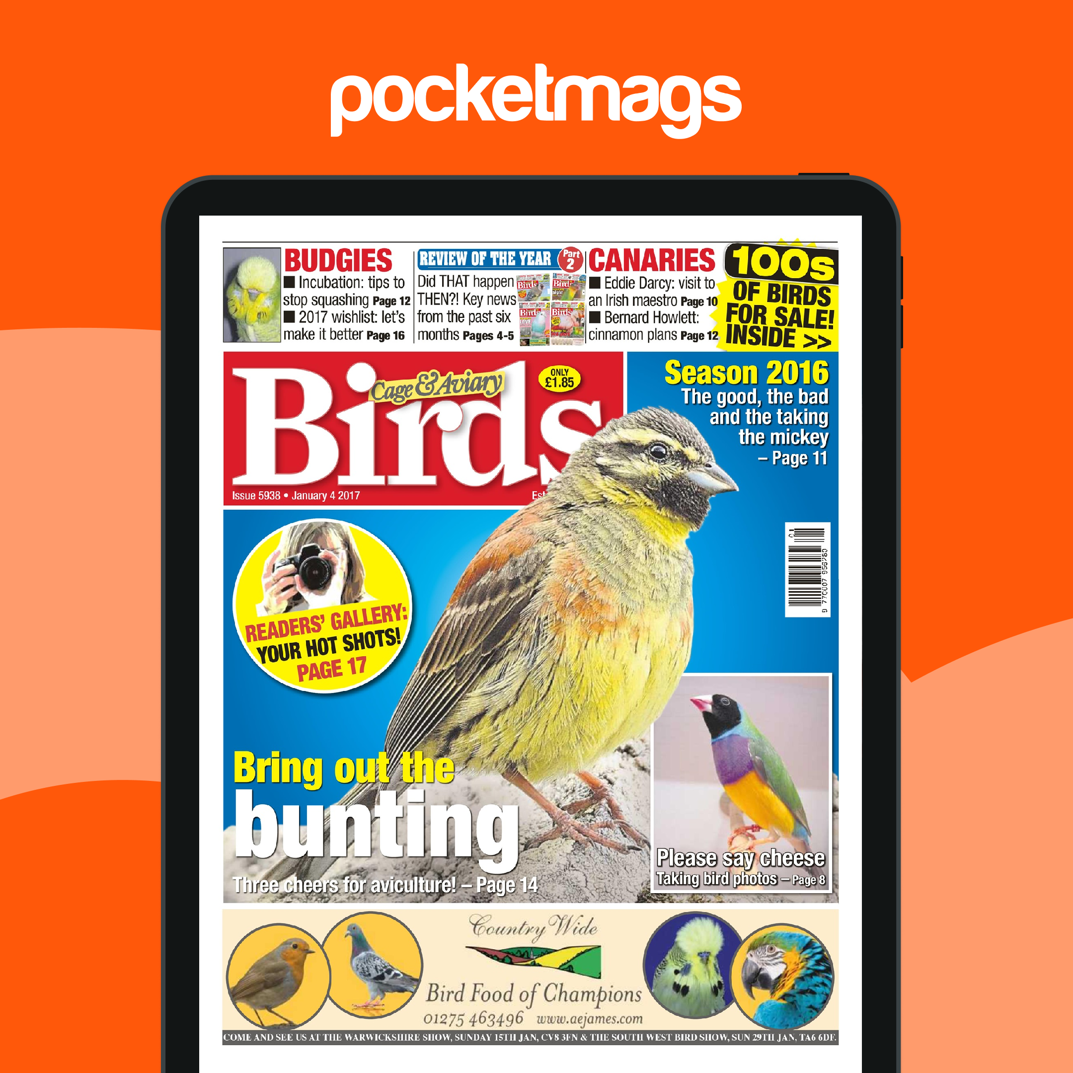 Cage & Aviary Birds Magazine - No. 5938 Bring Out The Bunting Edición ...