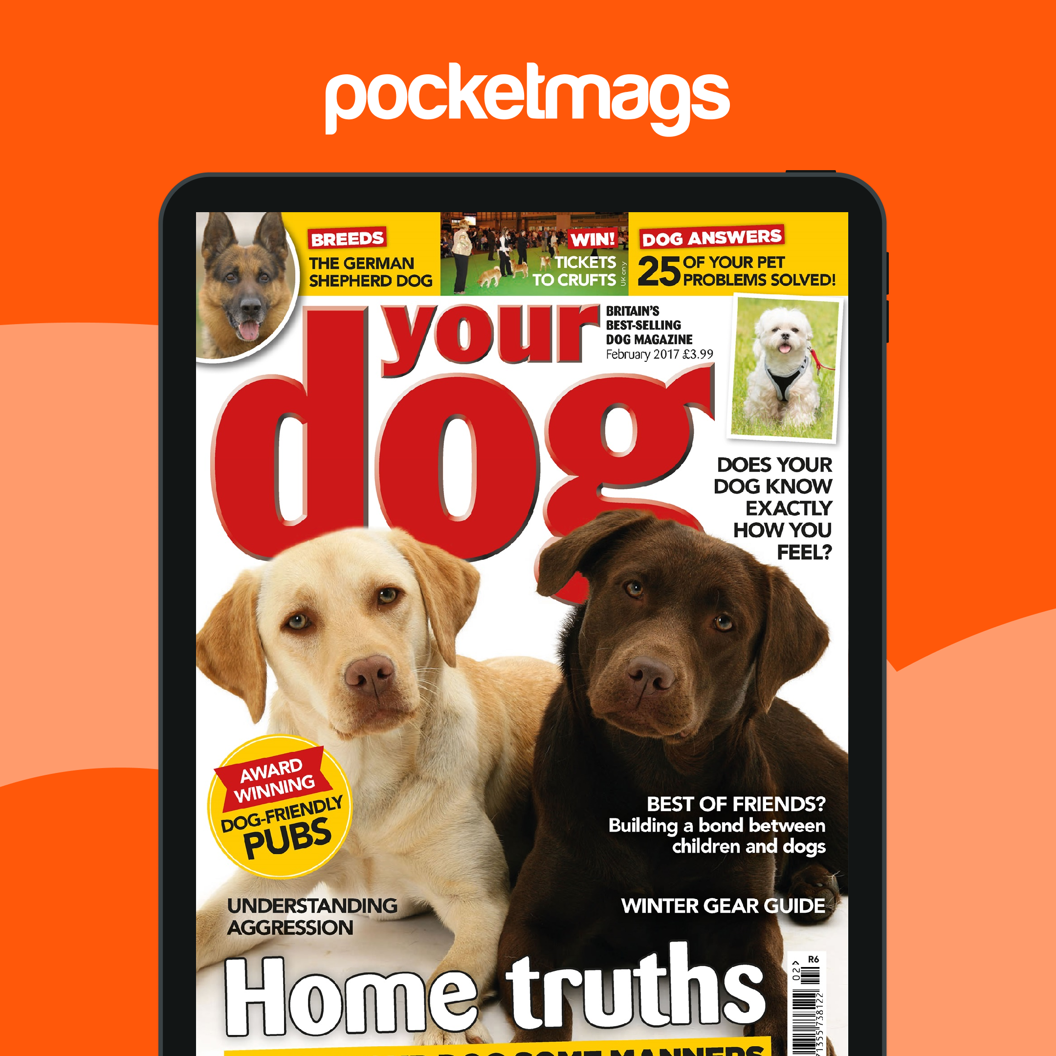 Your Dog Magazine - Your Dog Magazine February 2017 Back Issue