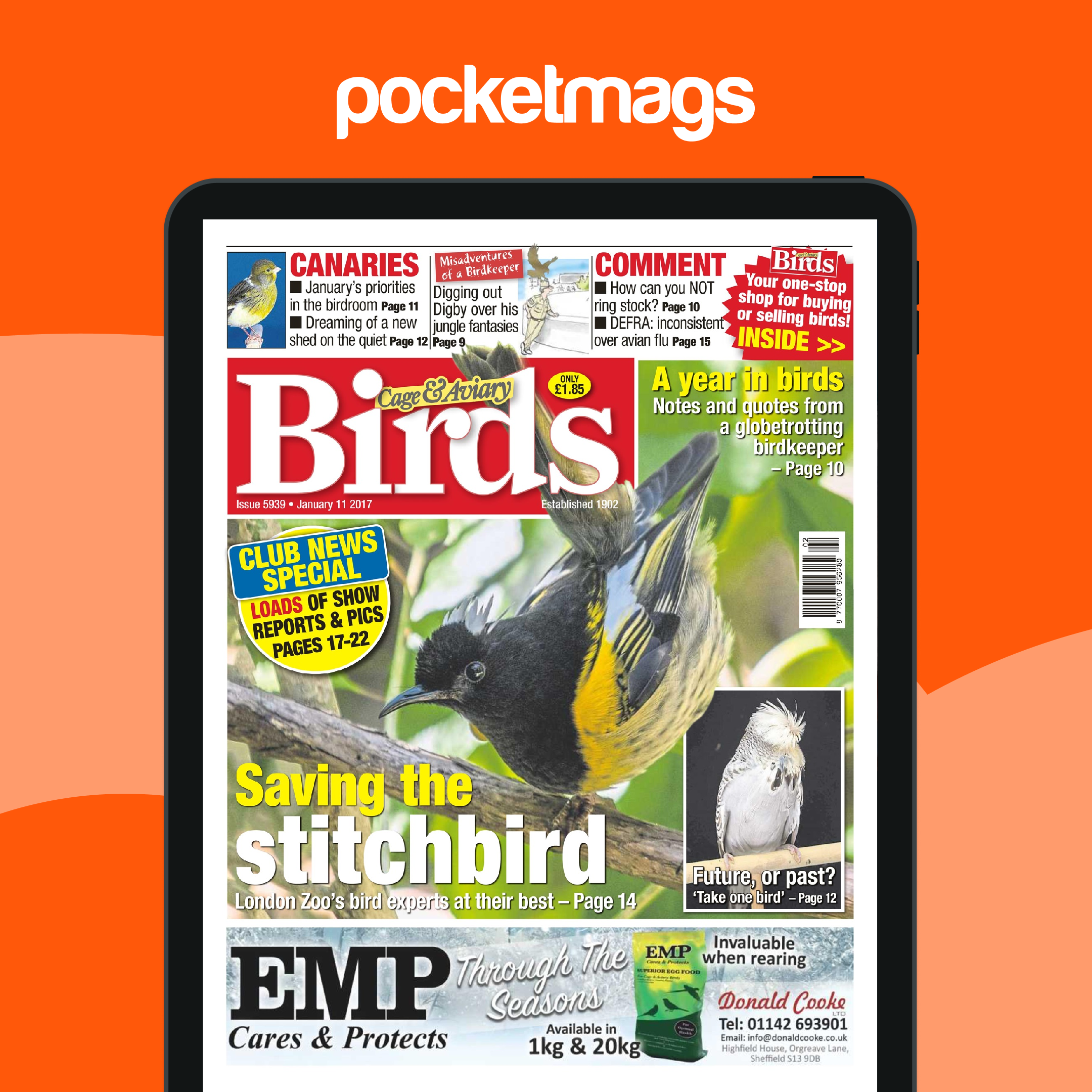 Cage & Aviary Birds Magazine - No. 5939 Saving The Stitchboard Retour à ...