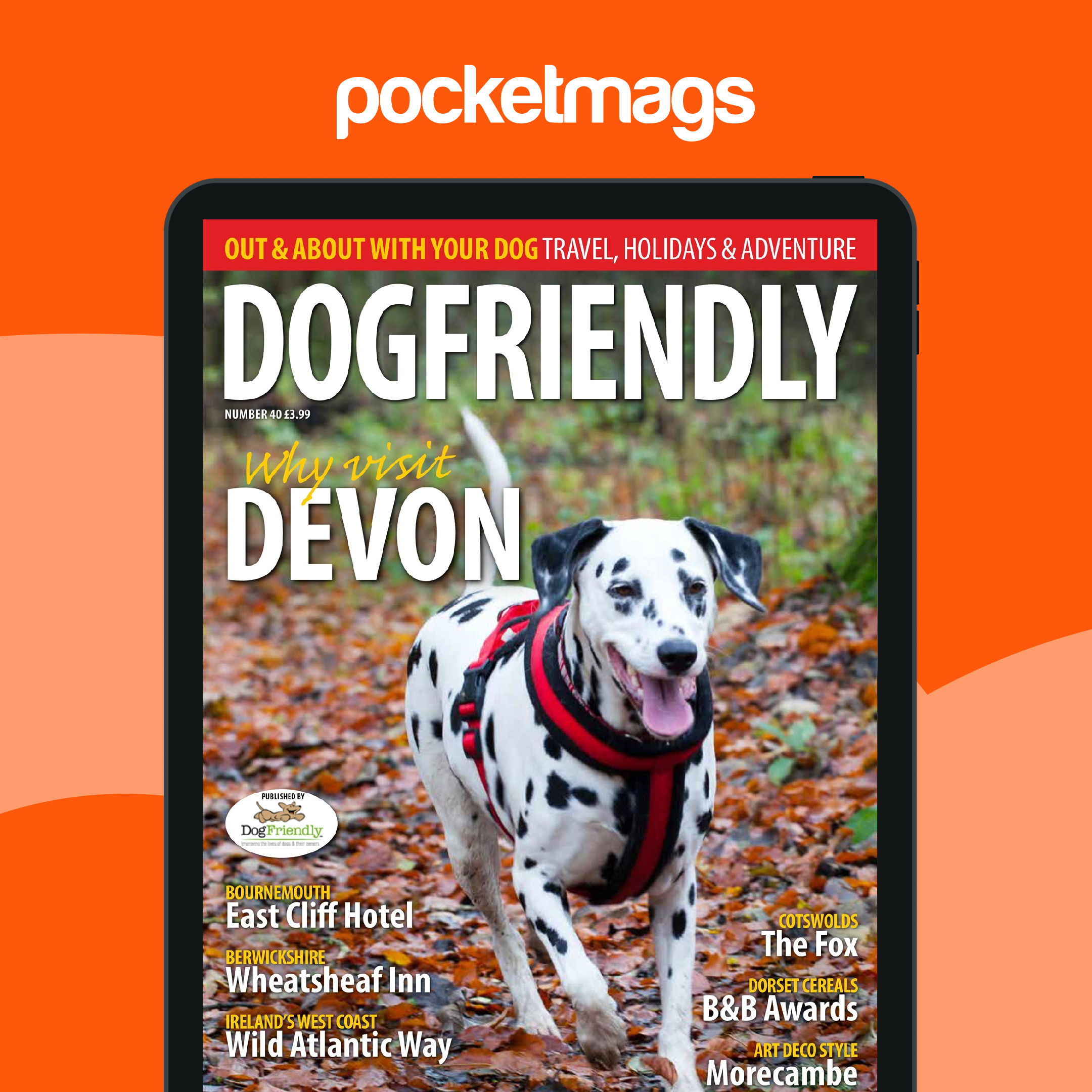 Dog Friendly Magazine - Jan-Feb 17 Back Issue