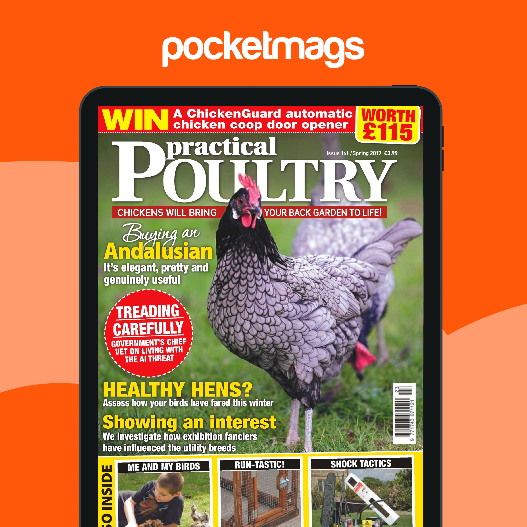 Practical Poultry Magazine - No. 161 Healthy Hens? Edición anterior