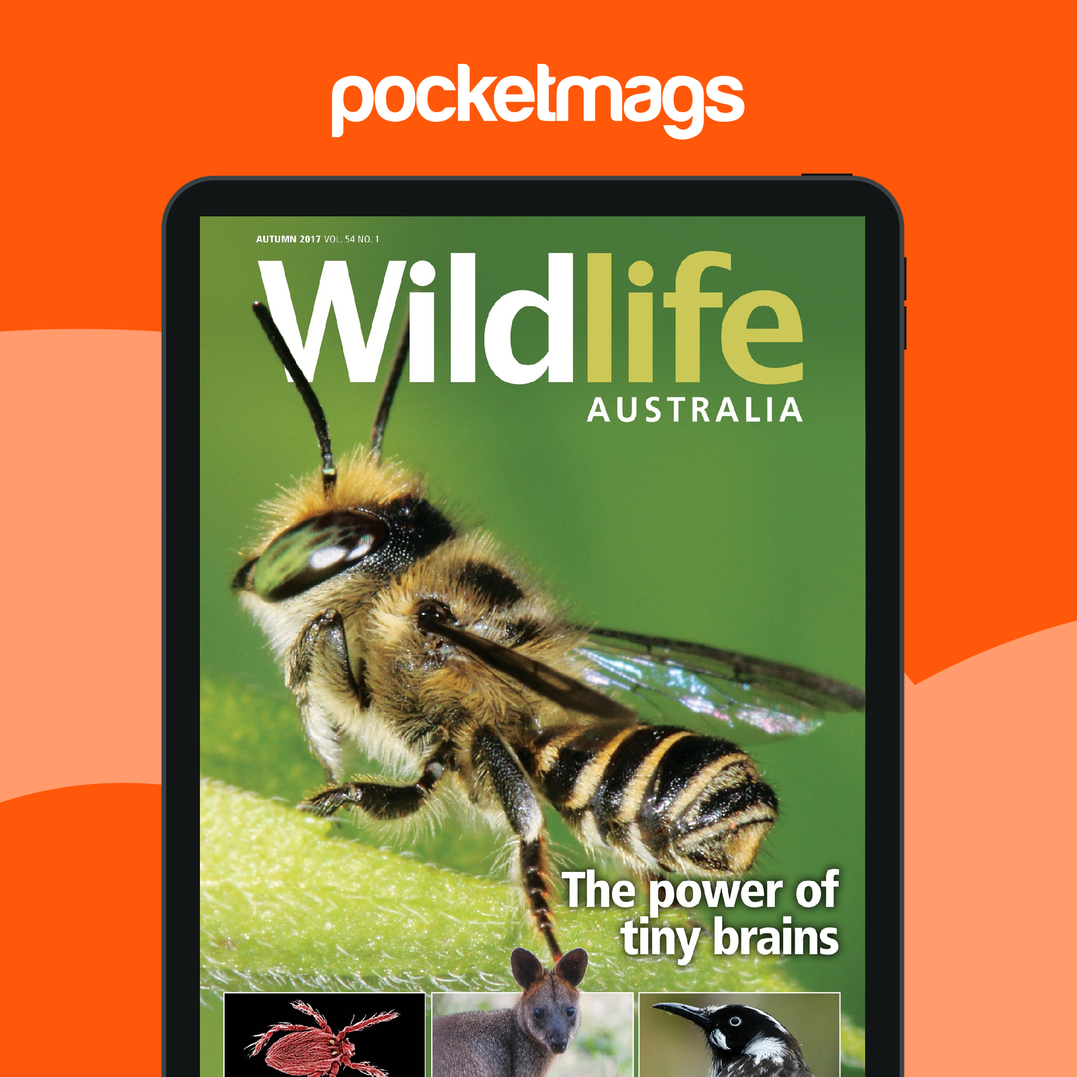 Wildlife Australia Magazine - Wildlife Australia Magazine Autumn 2017 ...