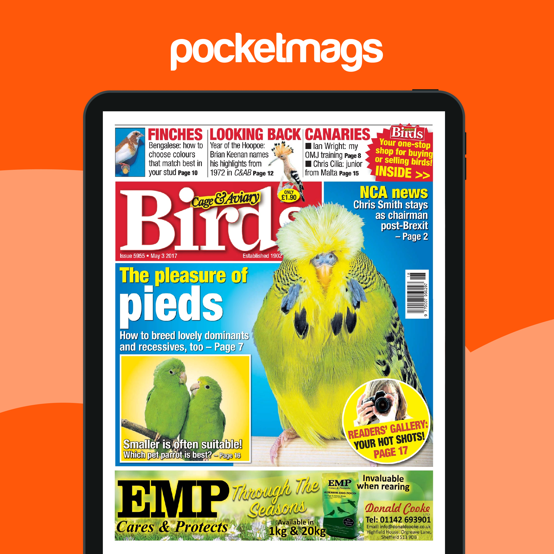 Cage & Aviary Birds Magazine - No. 5955 The Pleasure of Pieds Edición ...