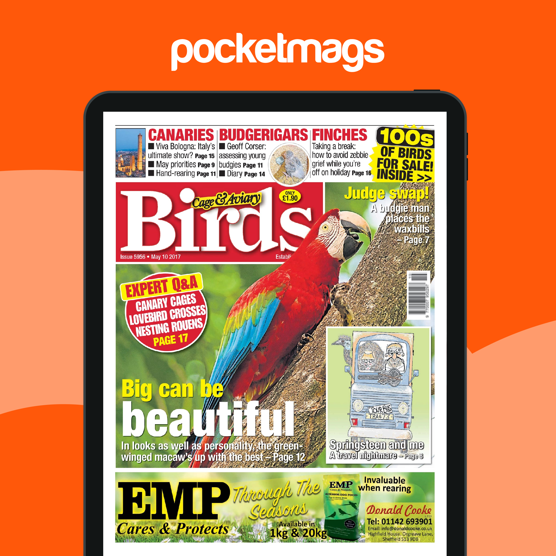 Cage & Aviary Birds Magazine - No. 5956 Big can be beautiful Edición ...